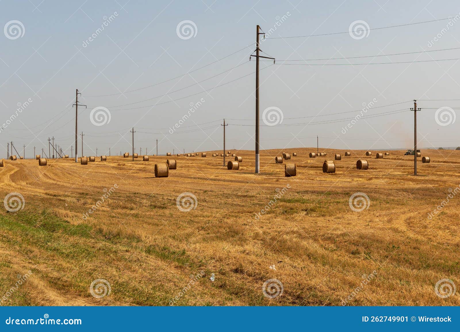 Electricity Poles in a Distance on the Field. Stock Image - Image of ...