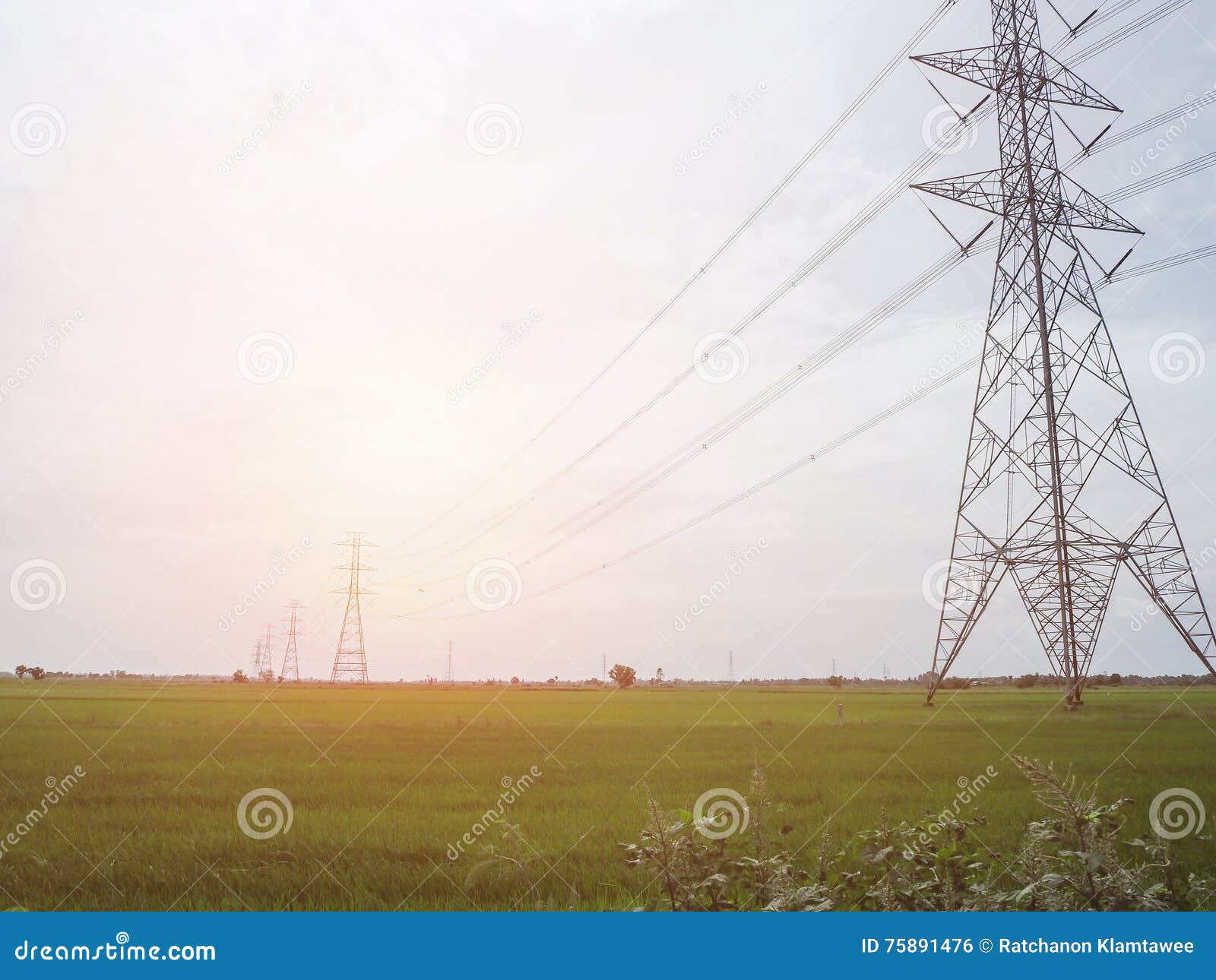 Electricity post. stock photo. Image of post, electric - 75891476