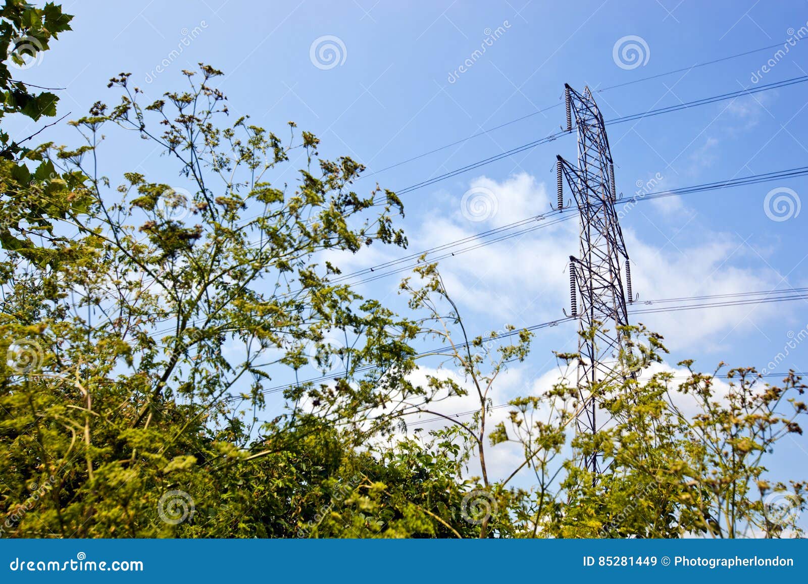 Electricity Pylon Above Trees Stock Image - Image of line, energy: 85281449
