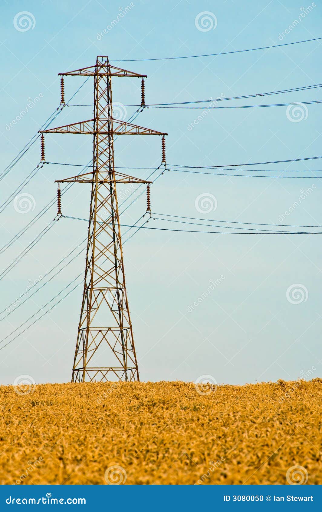 Electricity Pylon in Field stock photo. Image of infrastructure - 3080050