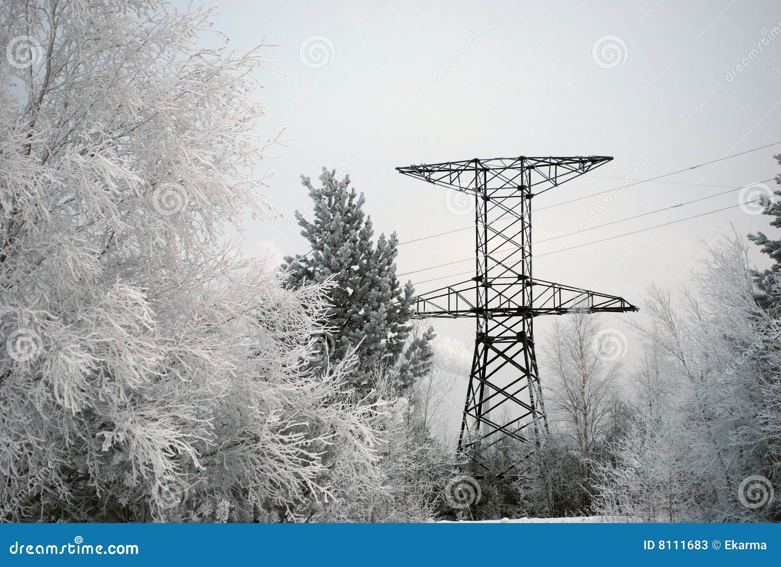 Electricity Pylon in Forest Stock Image - Image of winter, forest: 8111683