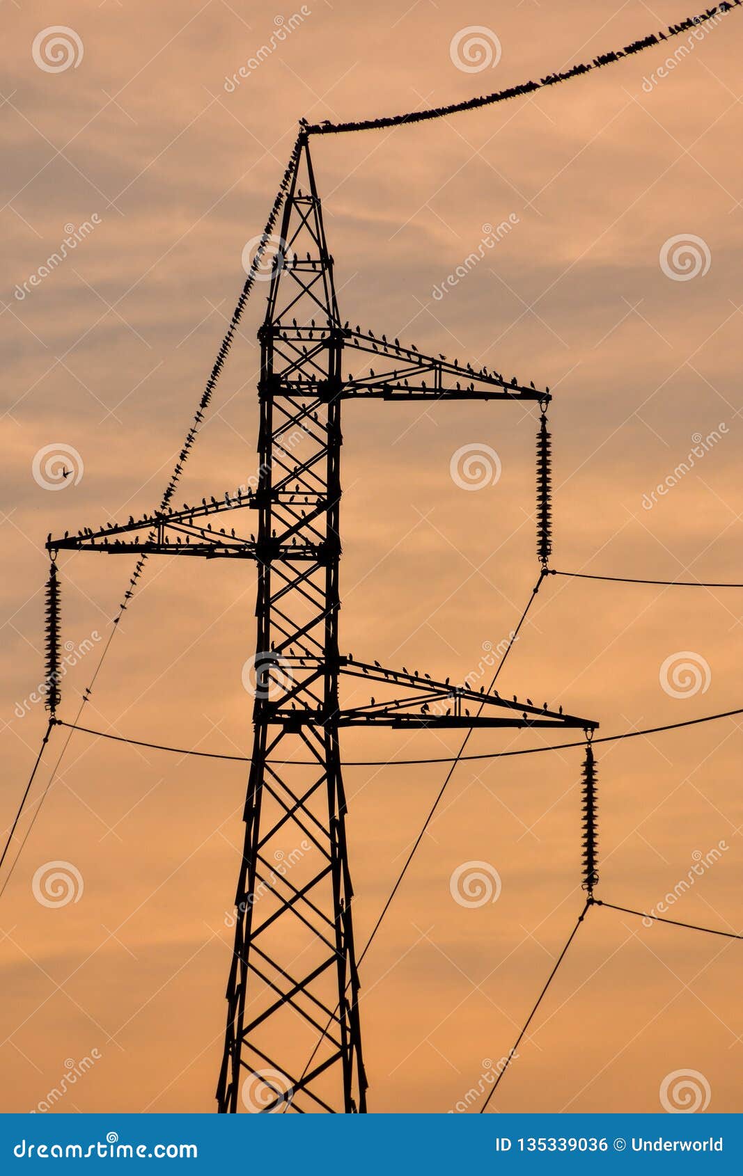 Electricity Pylon Pole stock photo. Image of line, high - 135339036