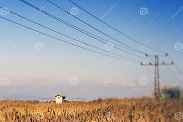 Electricity pylon wires stock photo. Image of yellow - 16691416