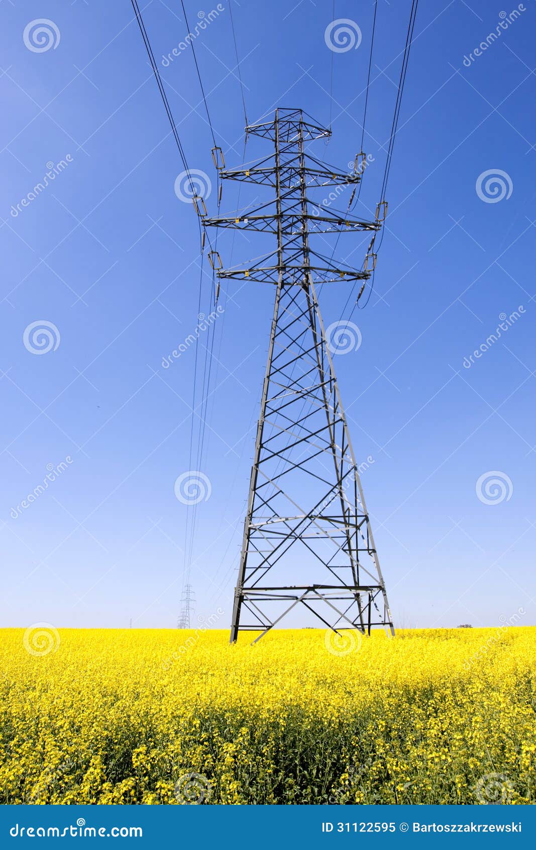 Electricity Pylons in a Field of Stock Image - Image of petrol ...