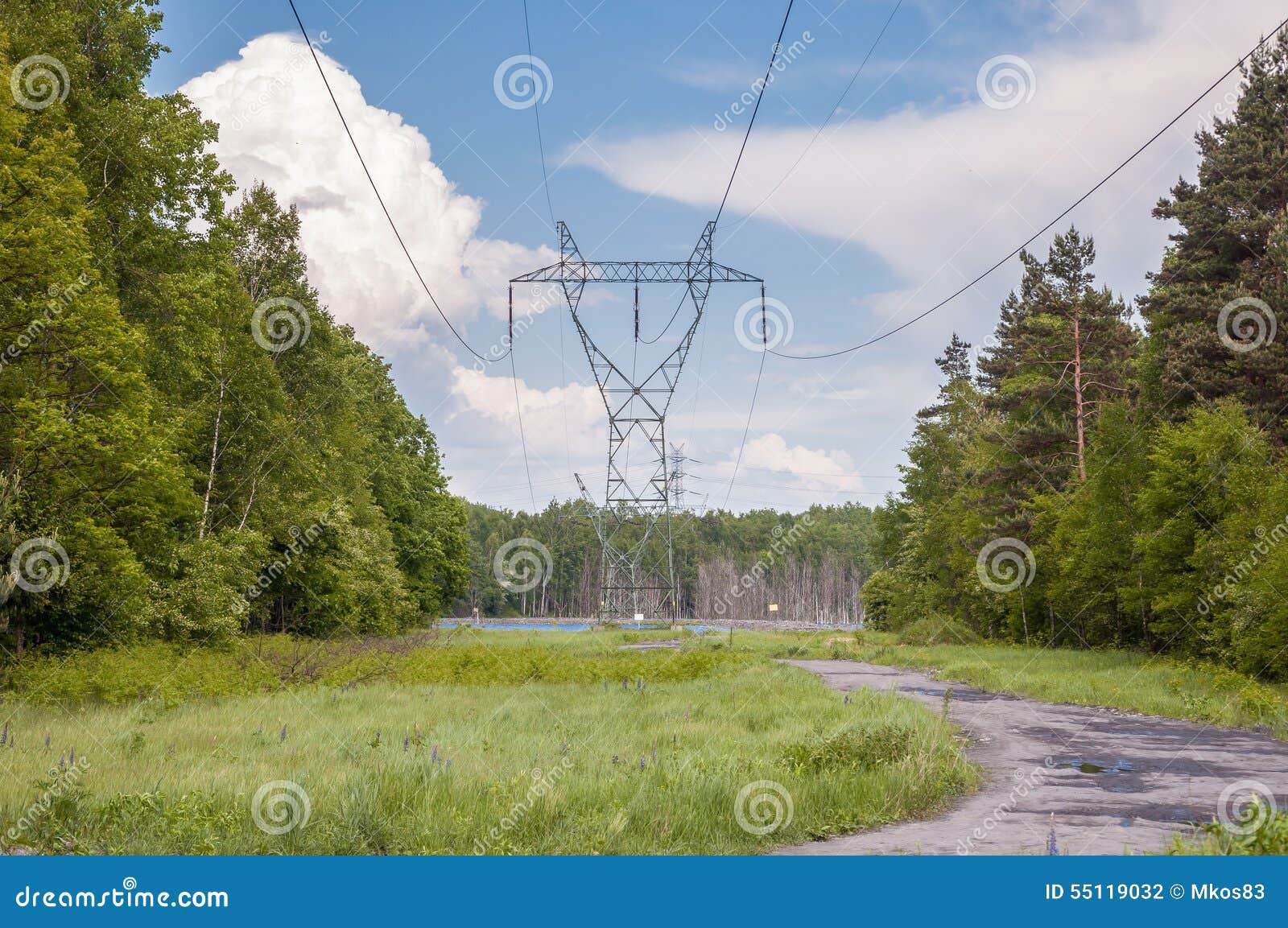 Electricity Transmission Pylon in a Forest Stock Photo - Image of grass ...