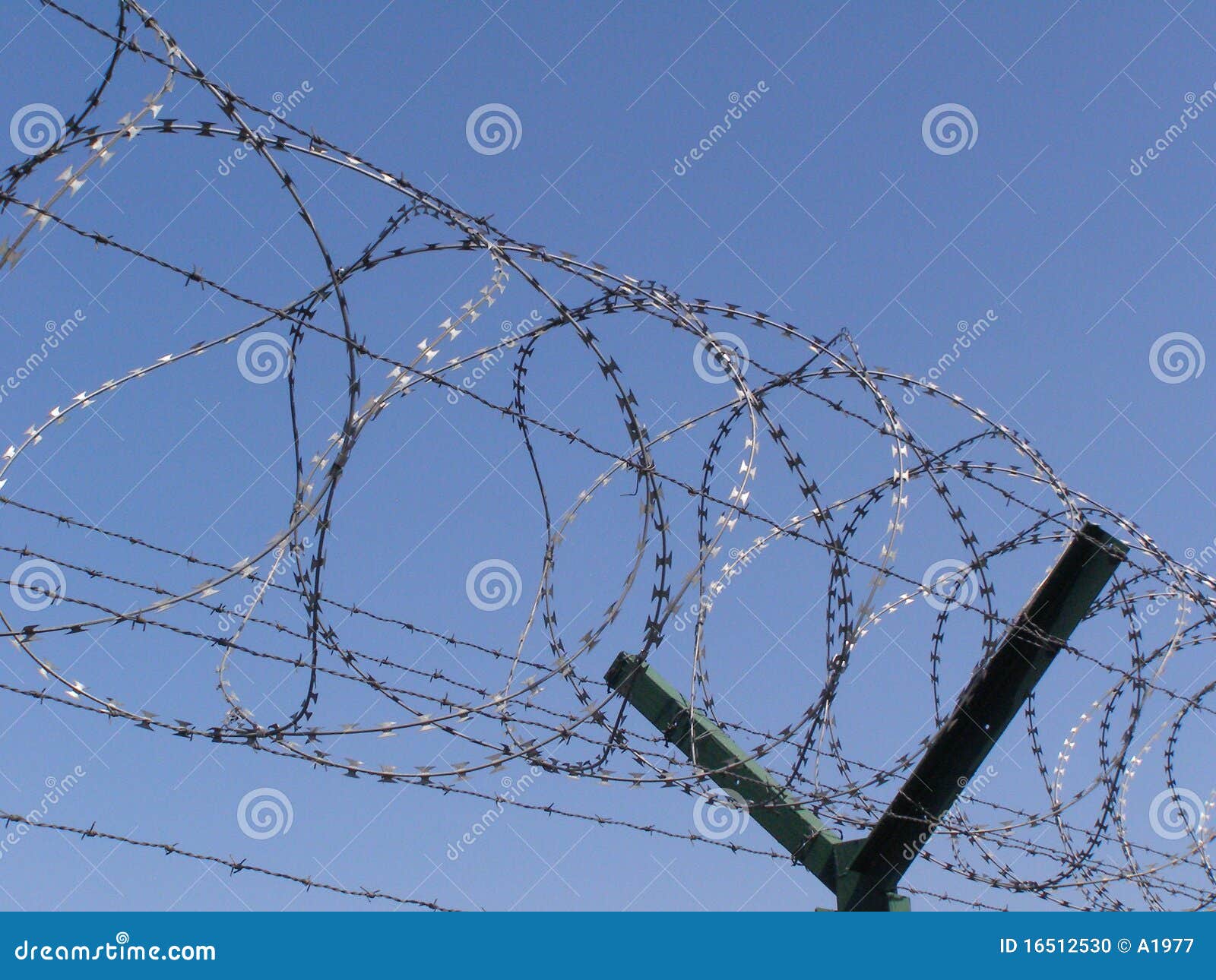 Electrified barber wire stock photo. Image of military - 16512530