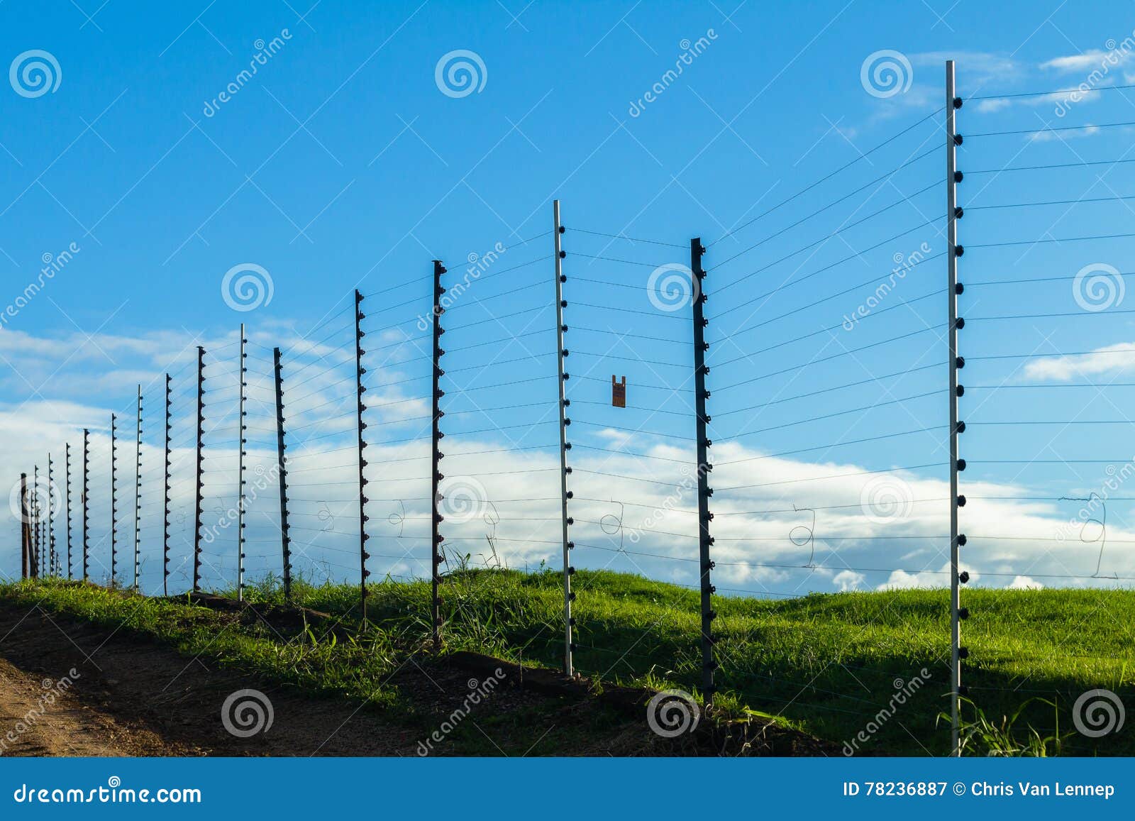 Electrified Fence With Walkway In Nature - Kruger National Park Stock ...