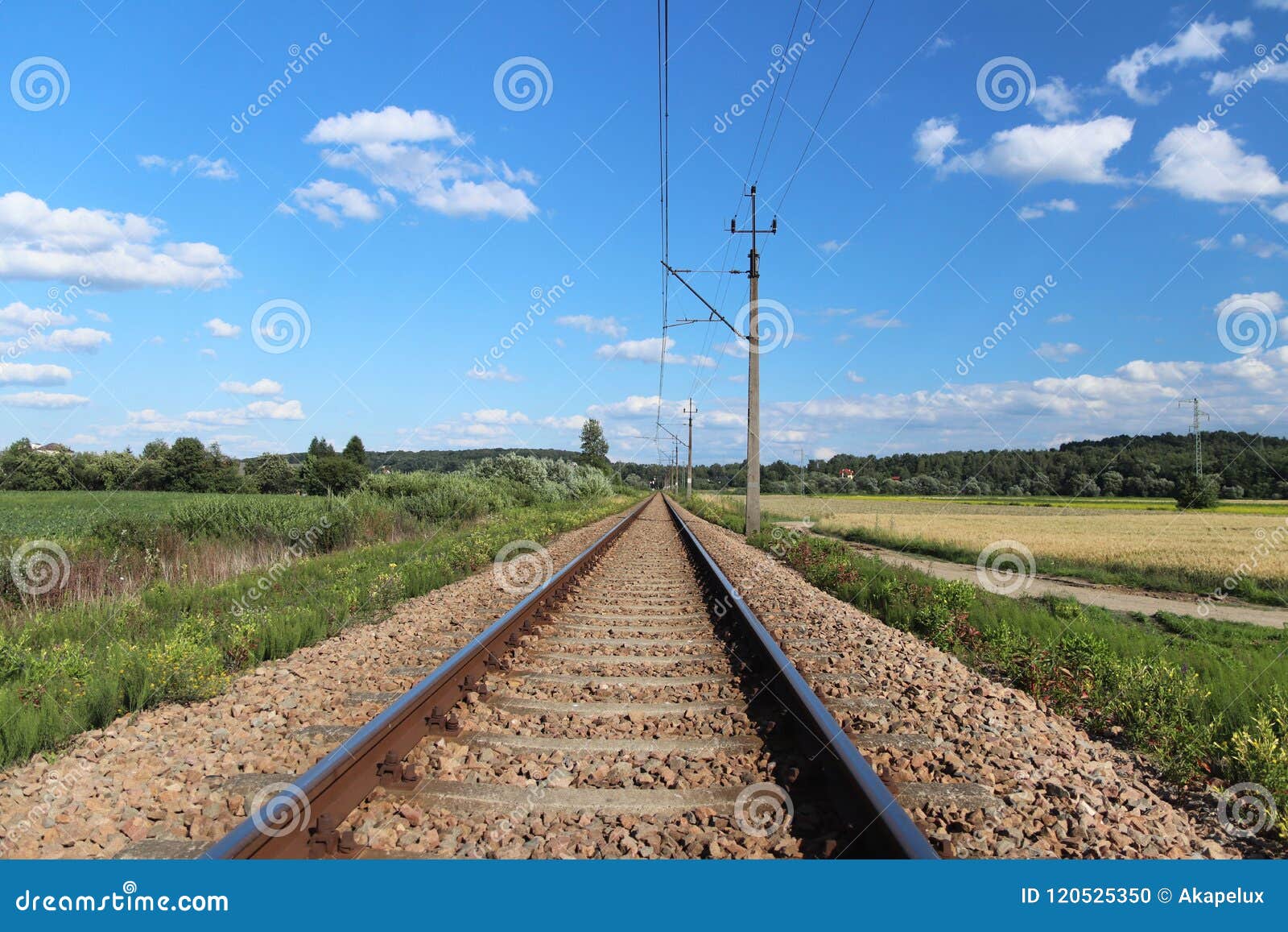 An Electrified Railway Track among Green Meadows and Wheat Fields. a ...