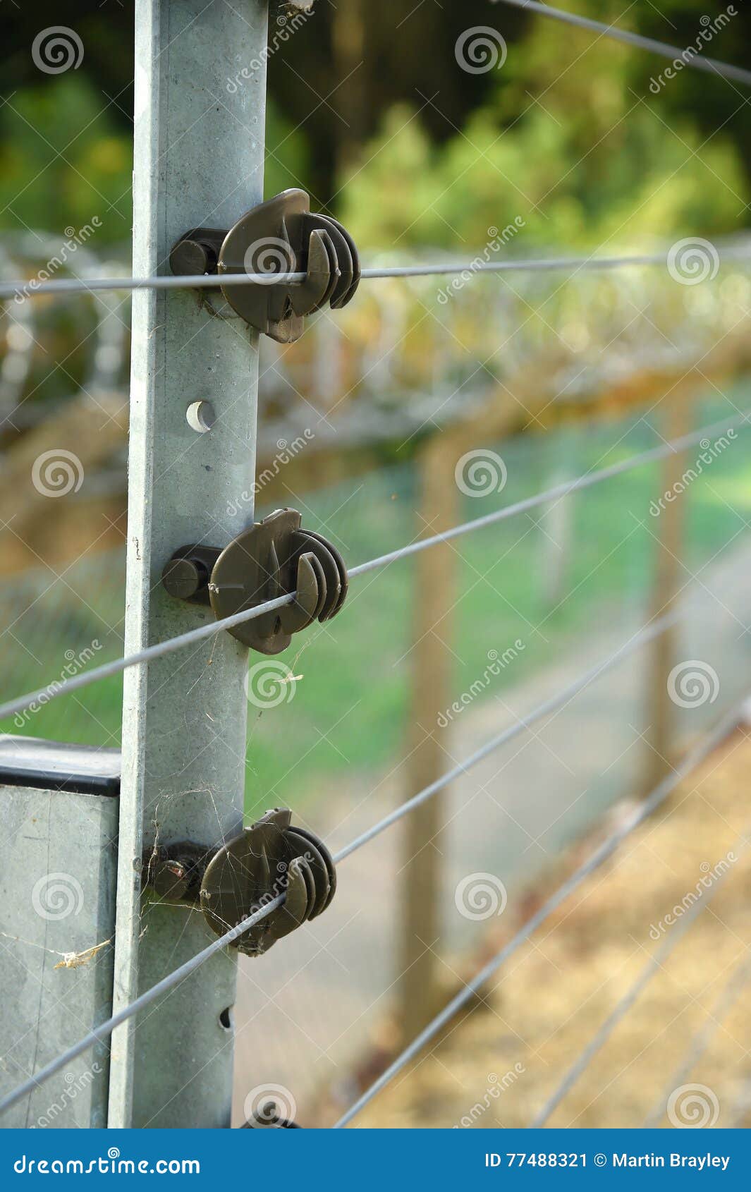 Electrified Security Fence and Razor Wire. Stock Image - Image of ...
