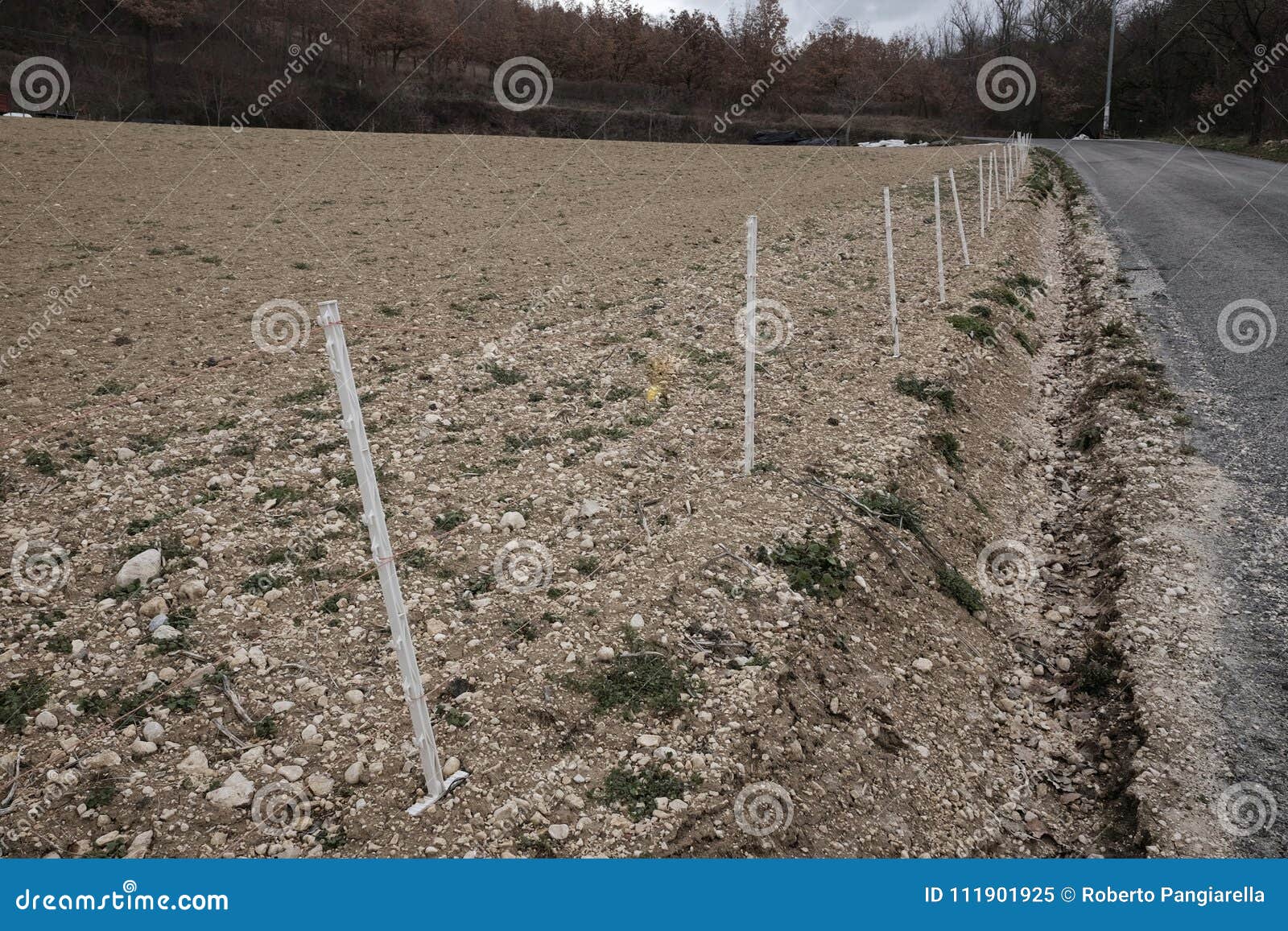 Electrified Wire for Wild Animals Stock Image - Image of boars, sign ...