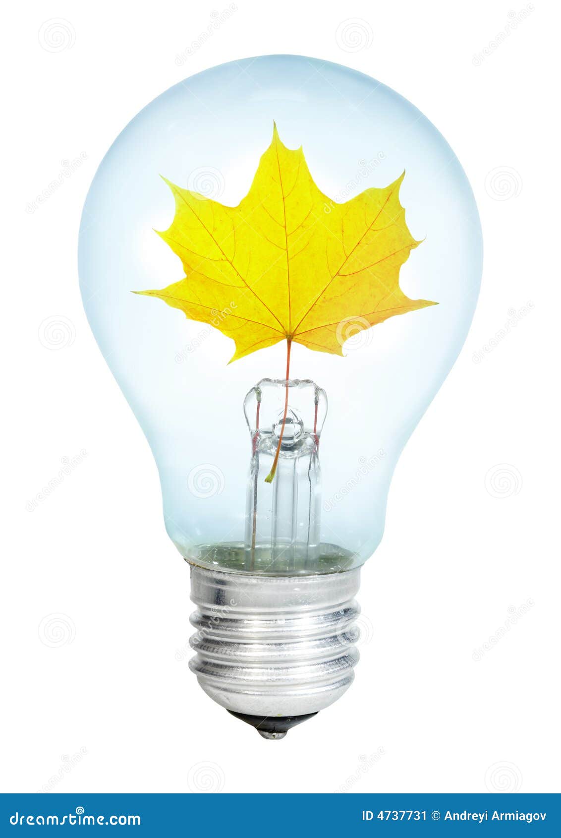 Electrobulb with Maple Leaf Stock Image - Image of cleanness, ecology ...