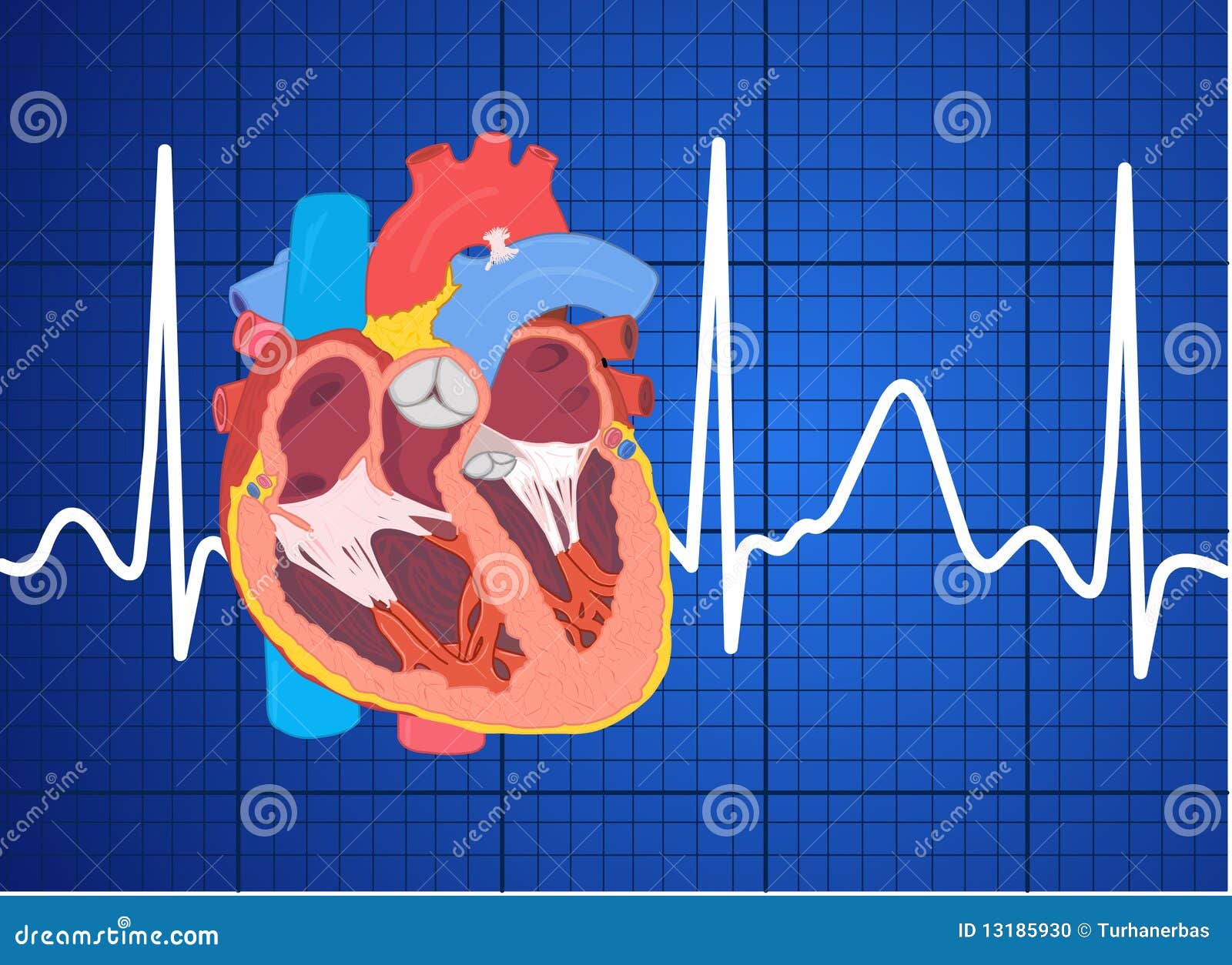 Electrocardiograma ilustración del vector. Ilustración de monitor ...