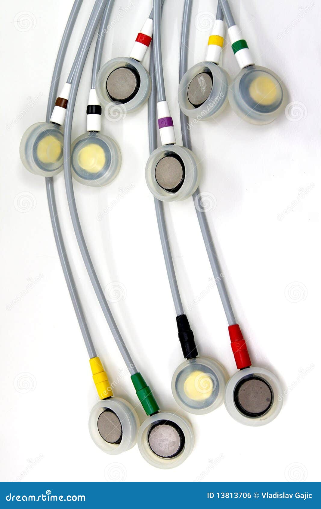 Electrode stock photo. Image of computer, scan, analysis - 13813706