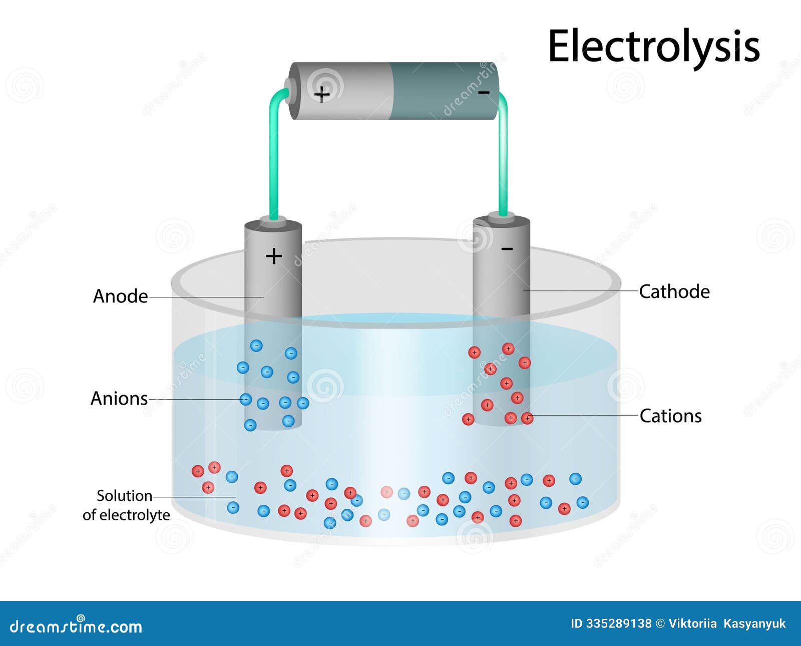 Cations And Anions. Structure Of Ions Vector Illustration ...