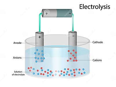Electrolysis. Solution of Electrolyte. Cations and Anions Stock Vector ...