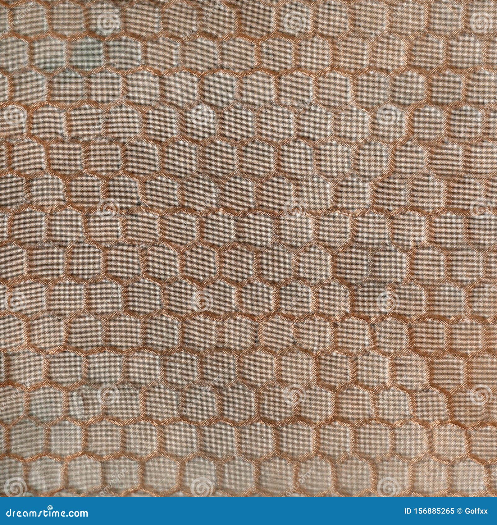 Membrane Texture Stock Photos - Download 1,711 Royalty Free Photos