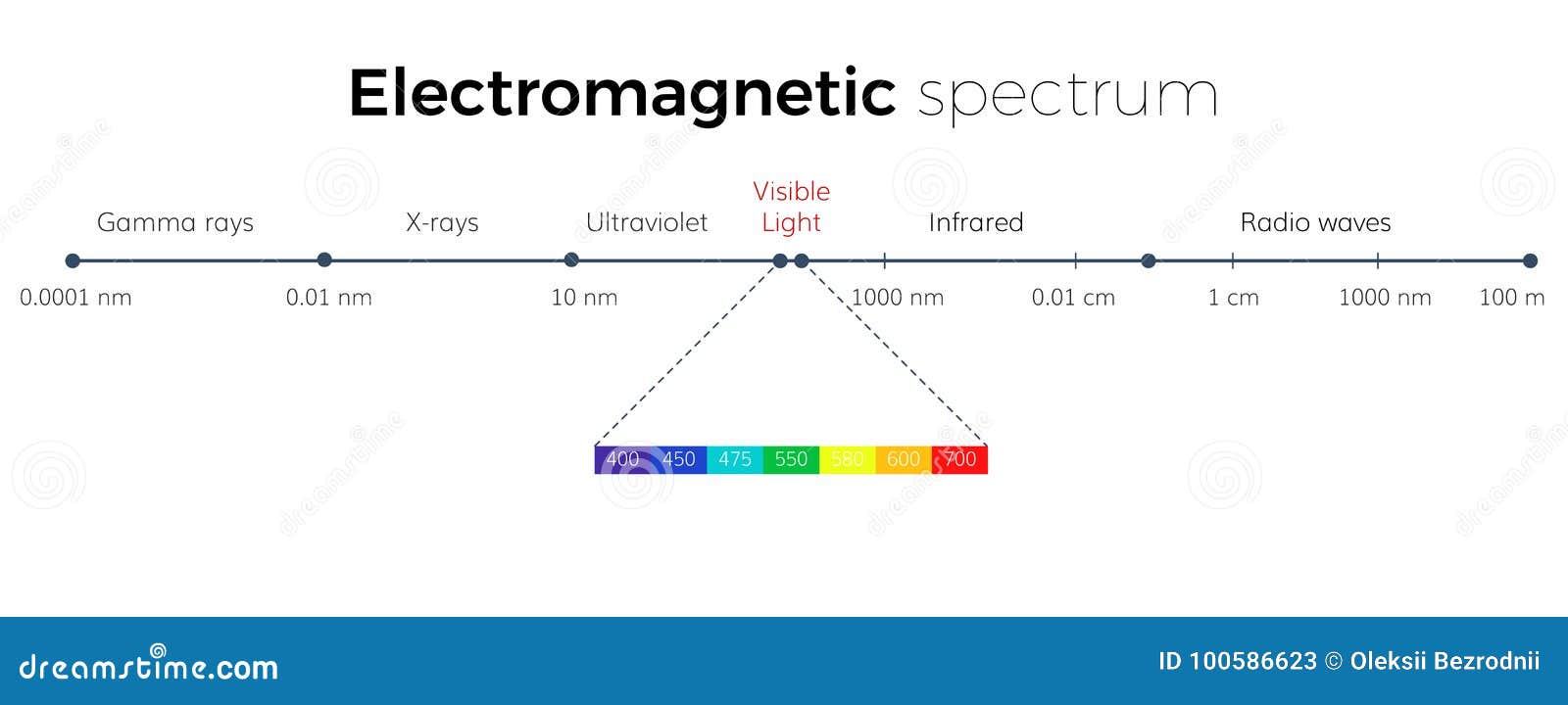 Visible Light Spectrum. Color Waves Length Perceived By Human Eye ...