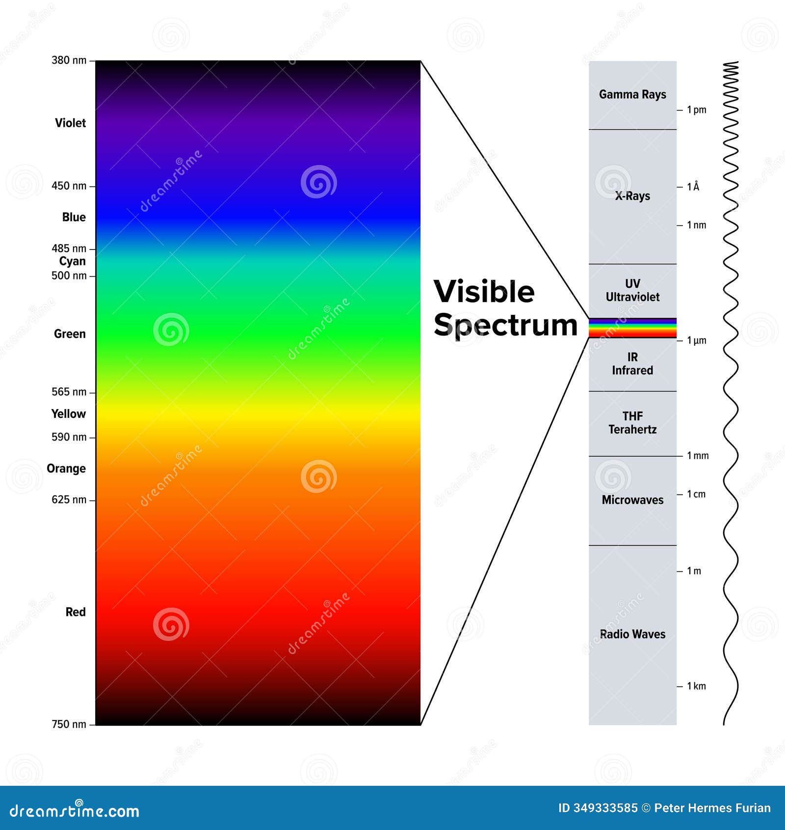 Electromagnetic Spectrum and the Visible Spectrum Stock Illustration ...