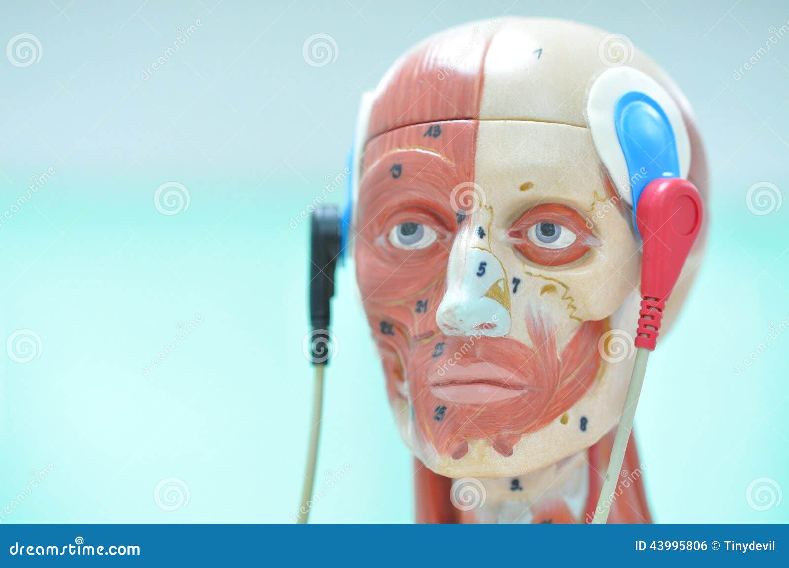 Electromyography stock photo. Image of signal, potential - 43995806