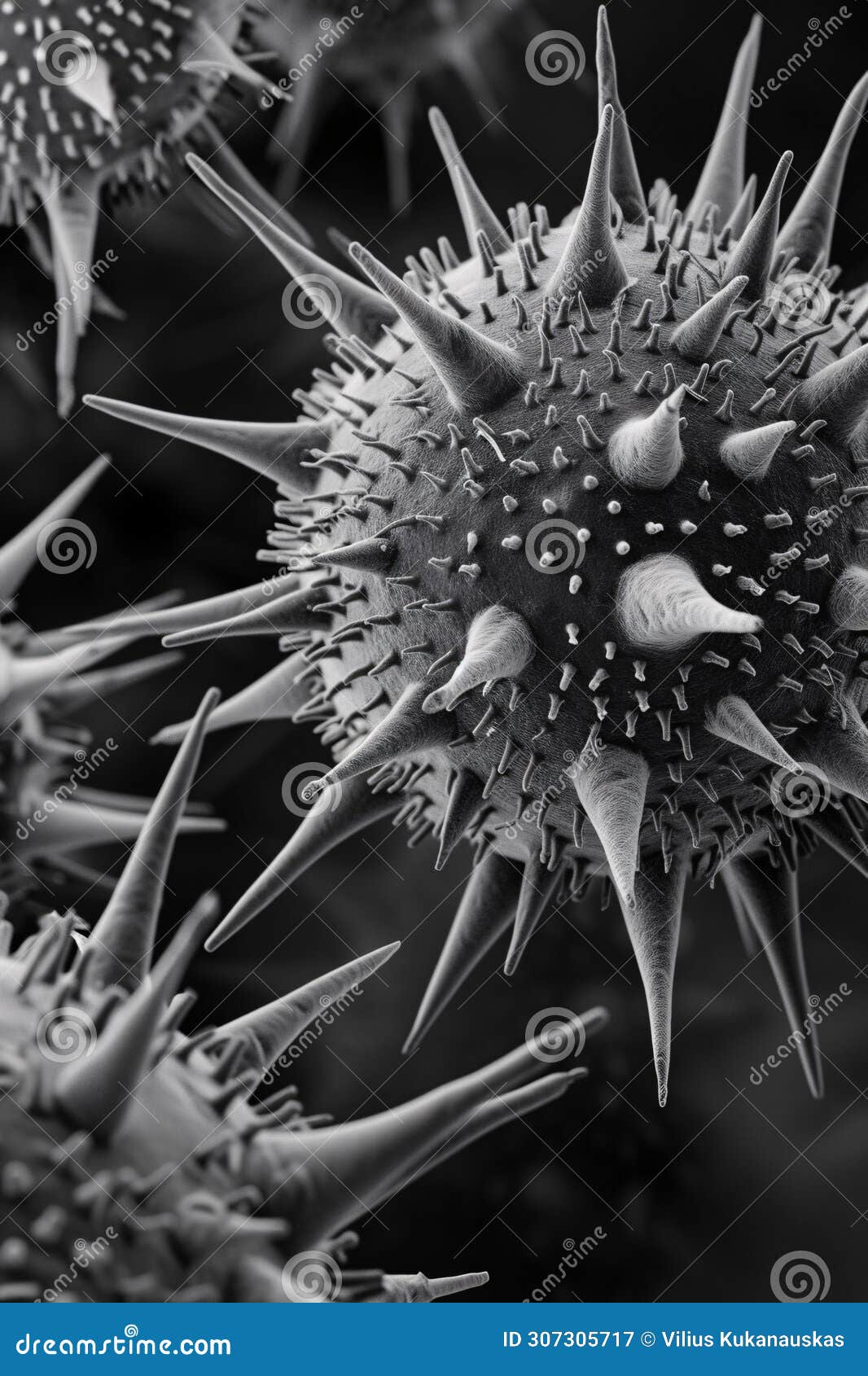 Electron Microscope Capture of an Virus Approaching Human Cell Stock ...