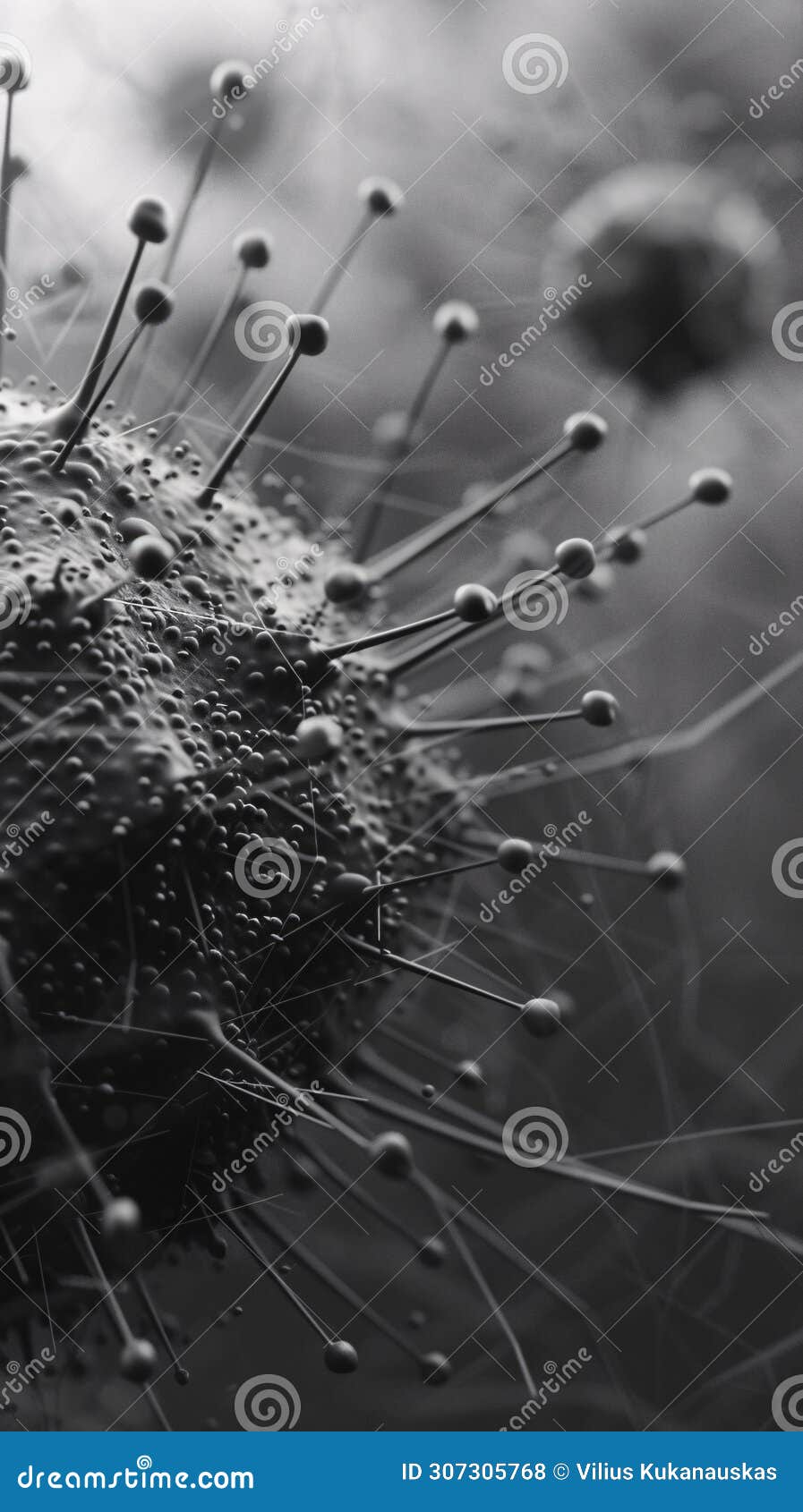 Electron Microscope Capture of an Virus Approaching Human Cell Stock ...