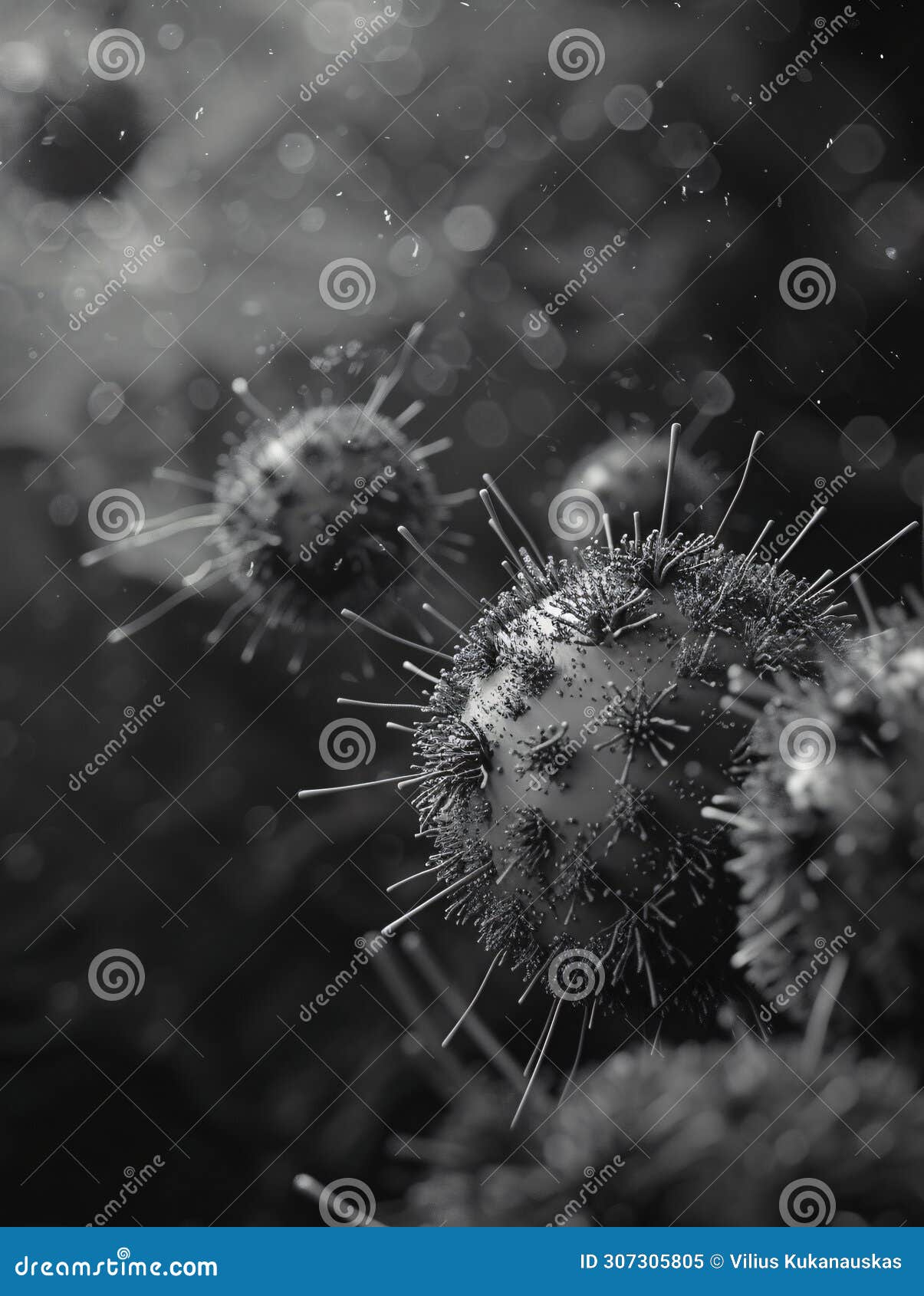 Electron Microscope Capture of an Virus Approaching Human Cell Stock ...