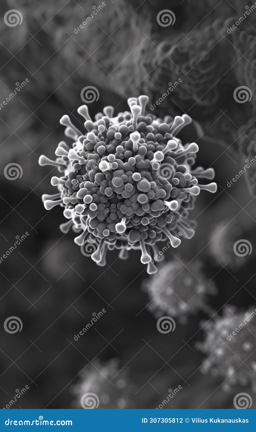 Electron Microscope Capture of an Virus Approaching Human Cell Stock ...