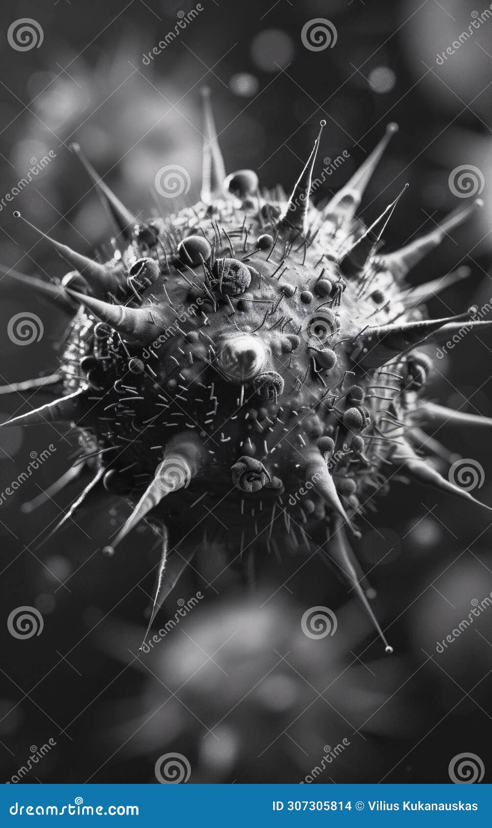 Electron Microscope Capture of an Virus Approaching Human Cell Stock ...