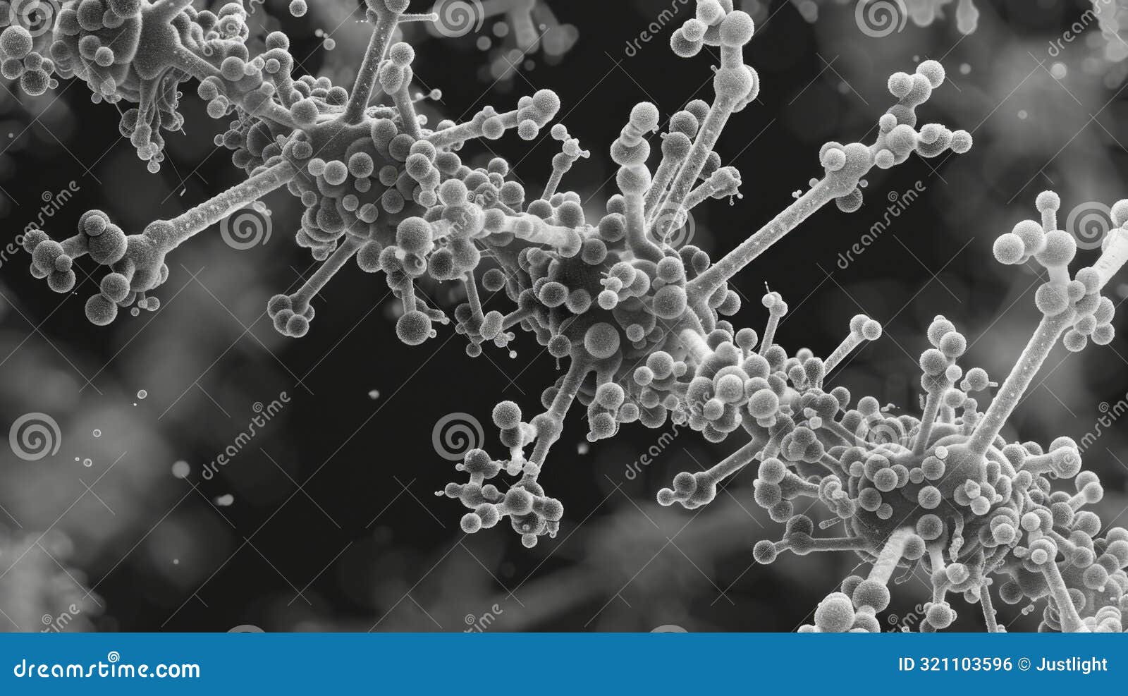 An Electron Microscope Image of a Glycoprotein Showing the Intricate ...