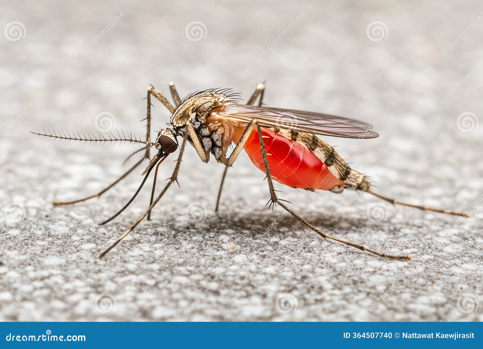 Electron Microscopy Of Human Immunodeficiency Virus HIV A Visual ...
