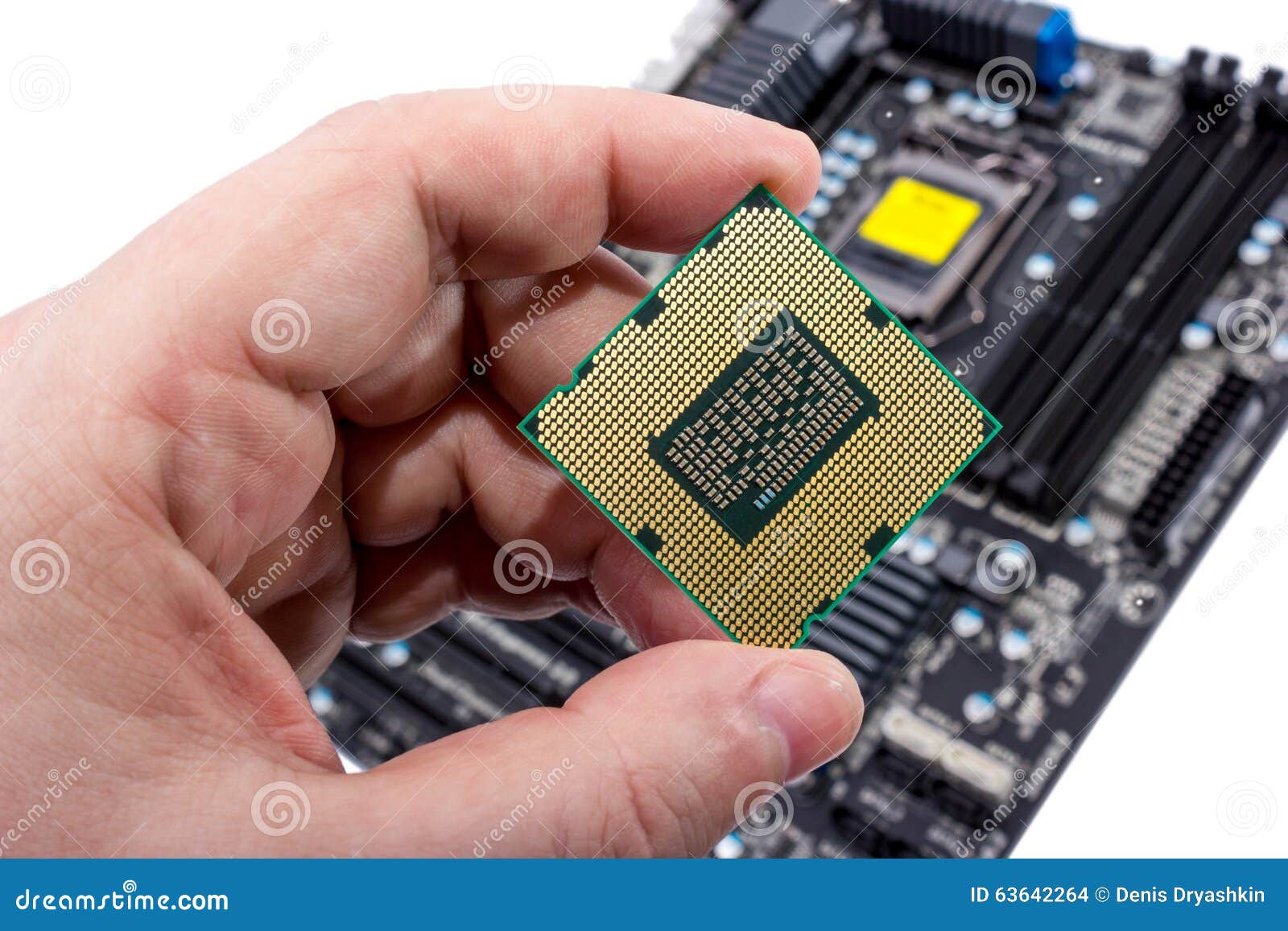 Electronic Collection - CPU in Hand Stock Photo - Image of electronic ...