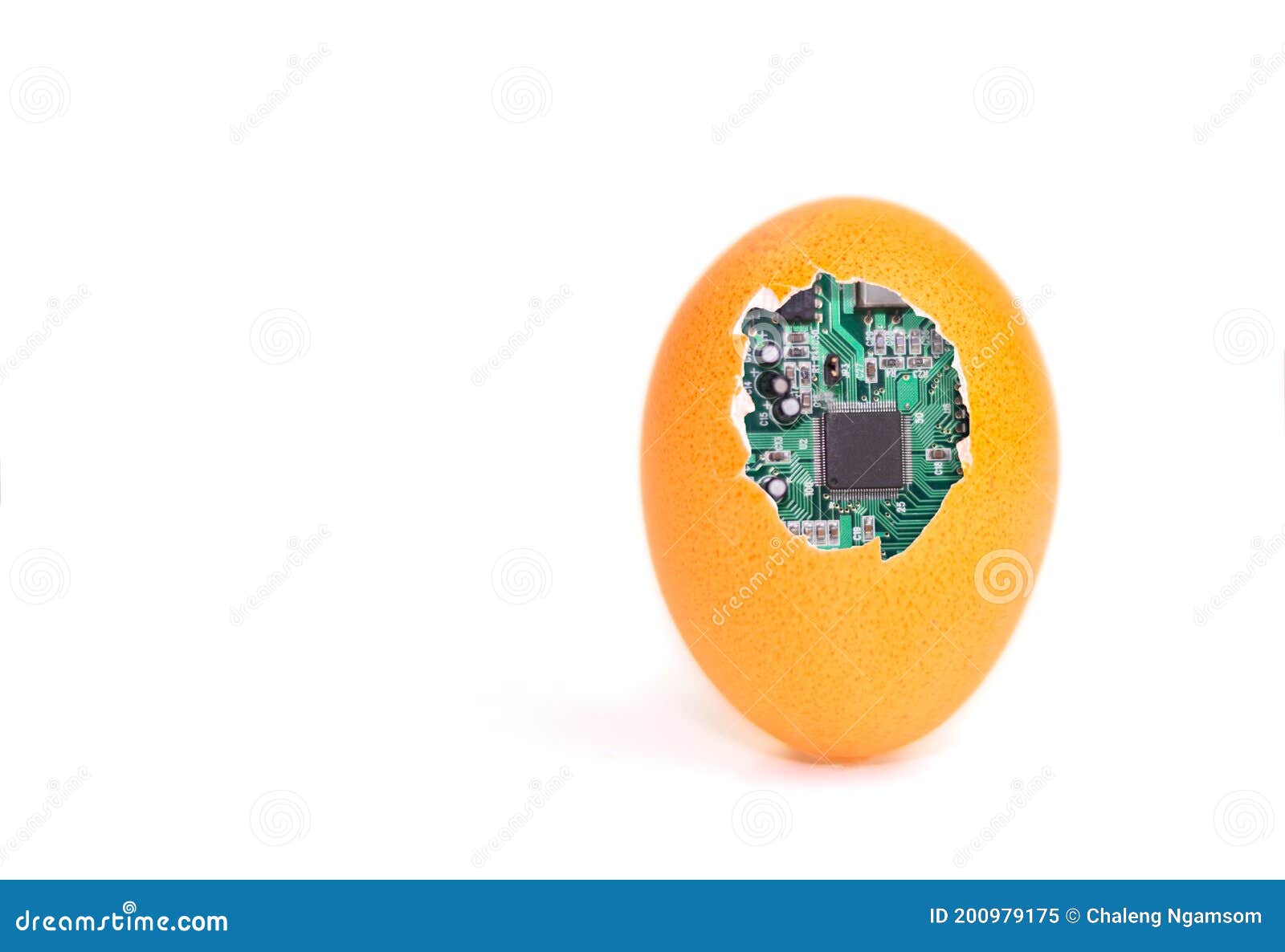 Electronic Egg on Isolate White Background Stock Image - Image of data ...