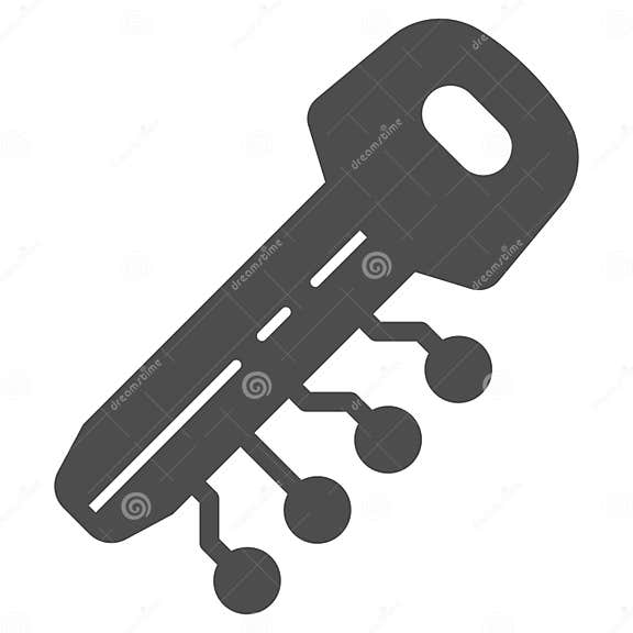 Electronic Key with Connections Solid Icon, Digital Security Concept ...
