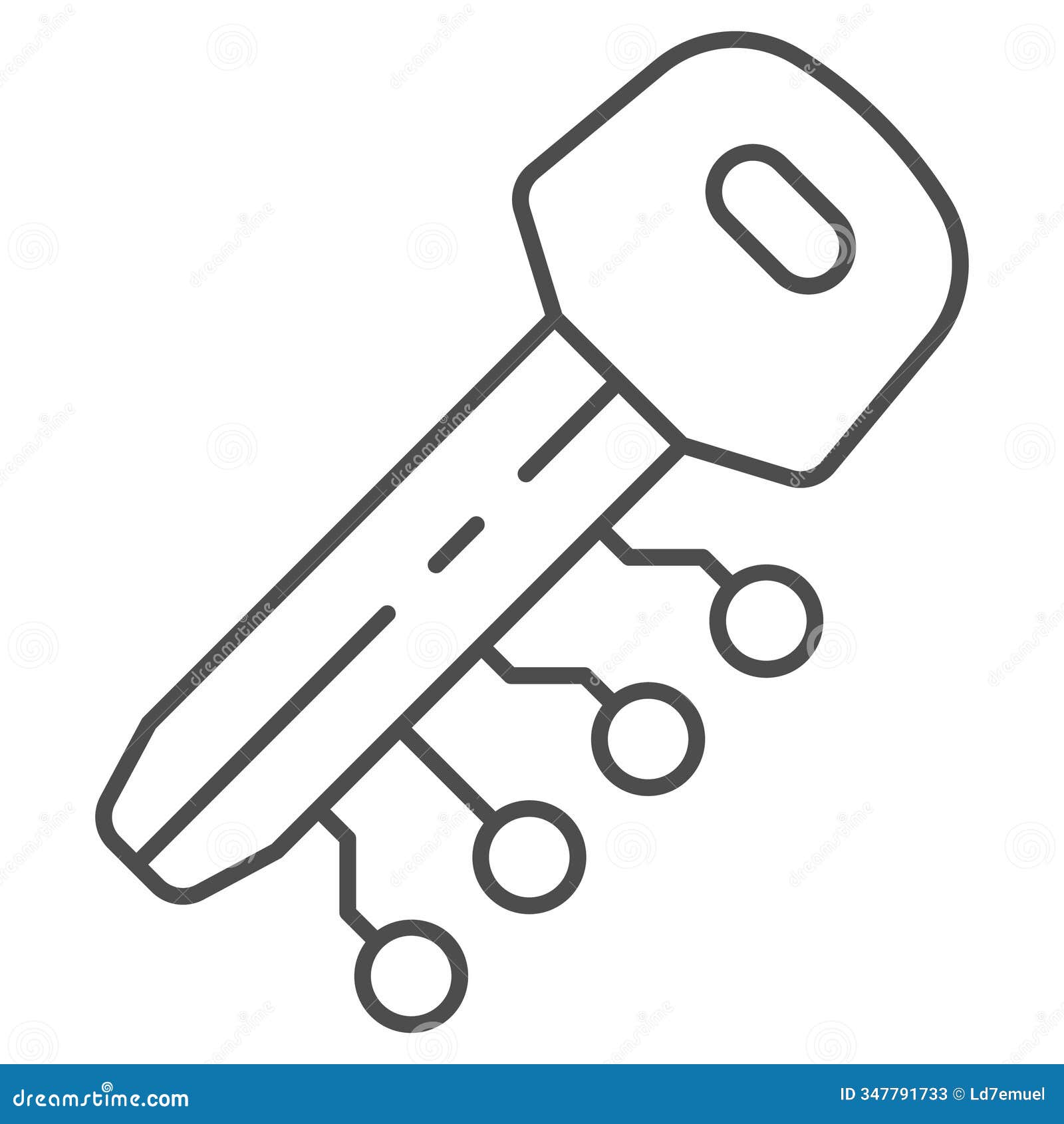Electronic Key with Connections Thin Line Icon, Digital Security ...