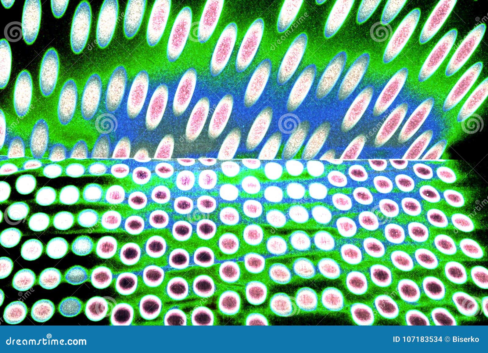 Electronic Microscope Digital Photo Cells Stock Photos - Free & Royalty ...