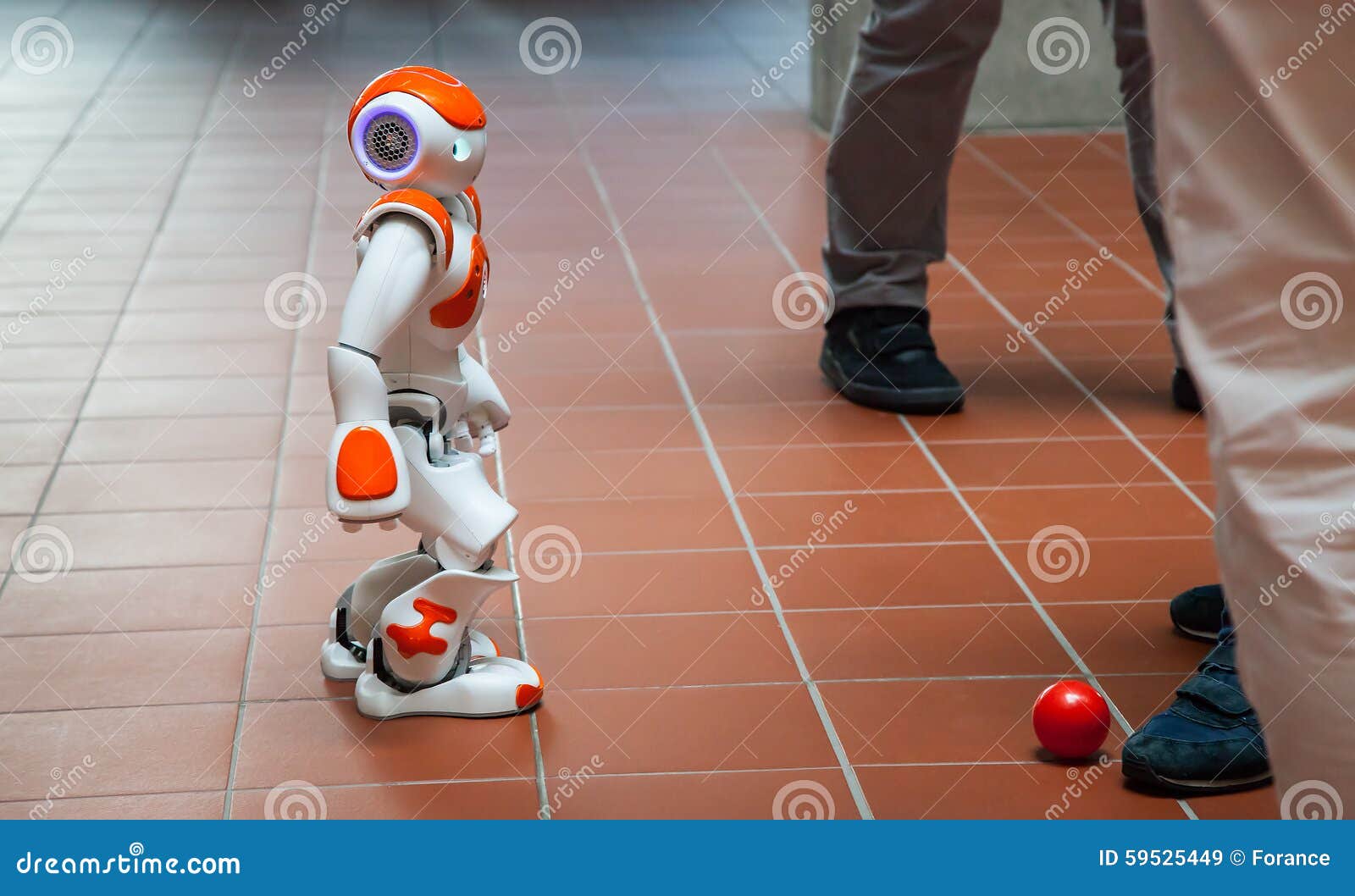 DIY Electronic Kit , Robot Made On Base Of Micro Controller With ...