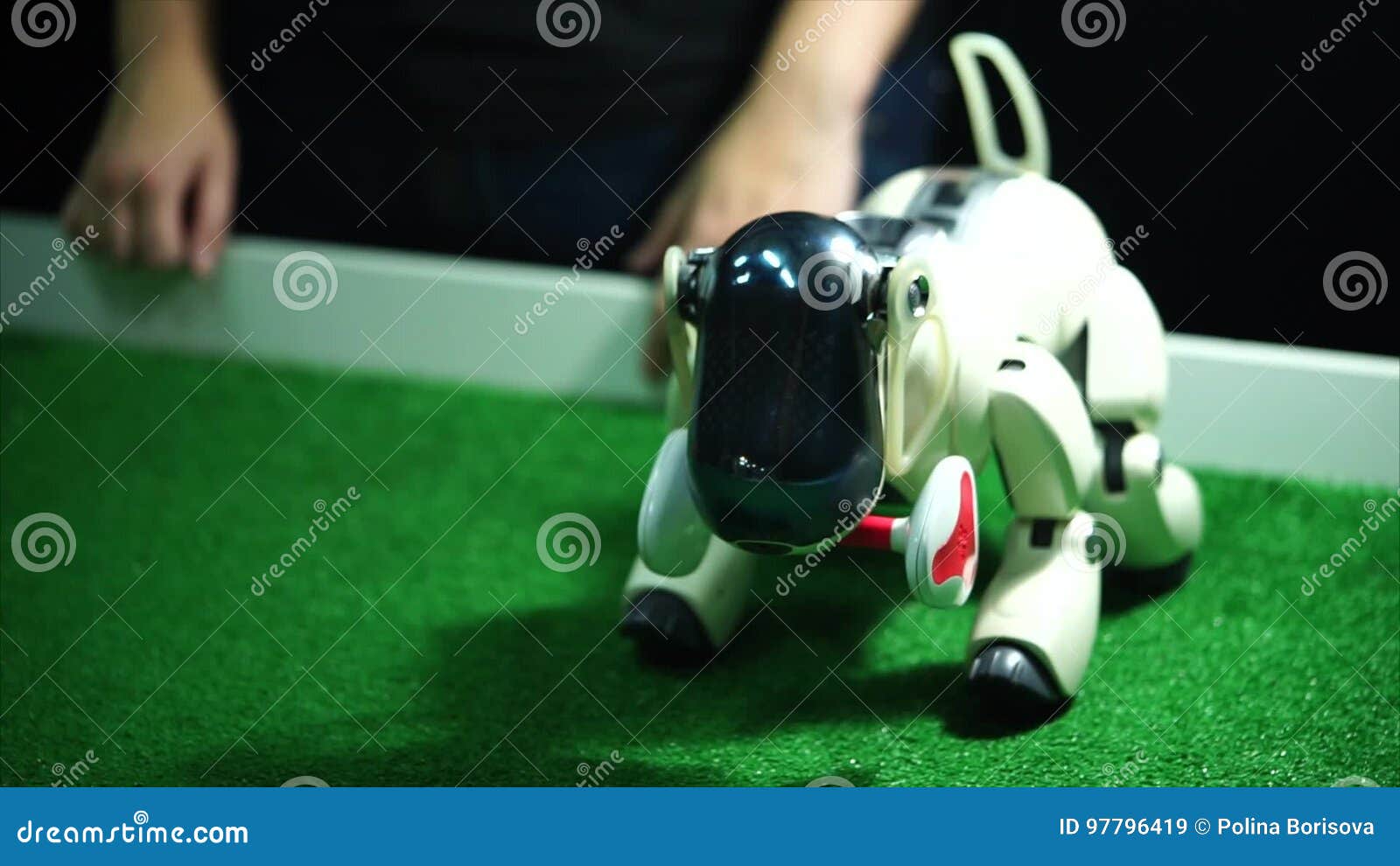 Electronic Robot Dog Taking Toy Bone in Its Mouth. Stock Video - Video ...