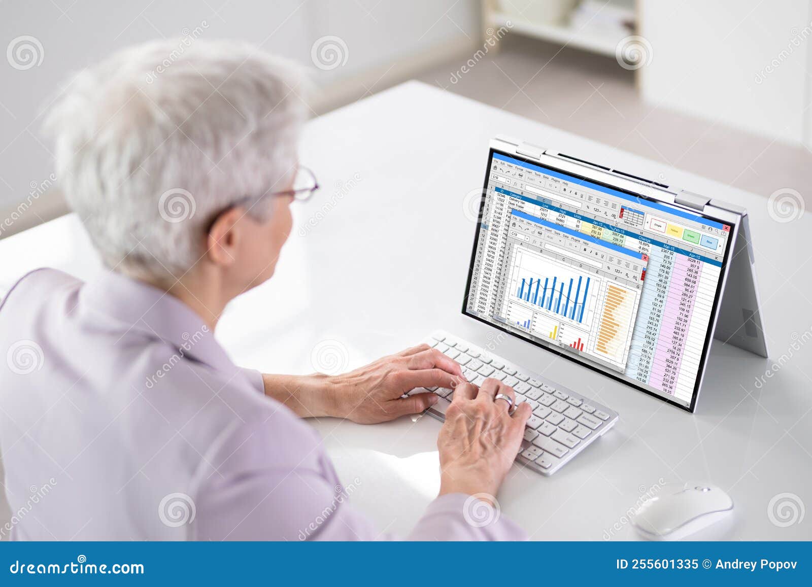 Electronic Spreadsheet Analyst or Auditor Using Software Stock Image ...