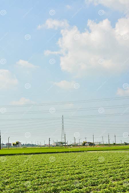 Electronic tower stock image. Image of power, industry - 34241779