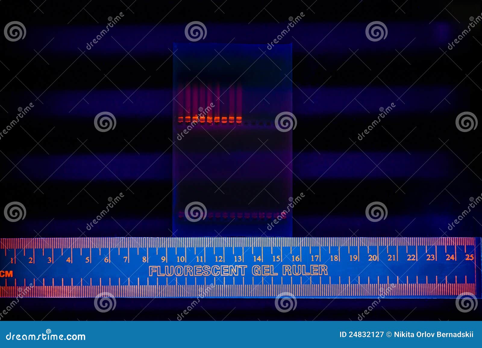 Electrophoregram of DNA Separation Stock Image - Image of separation ...