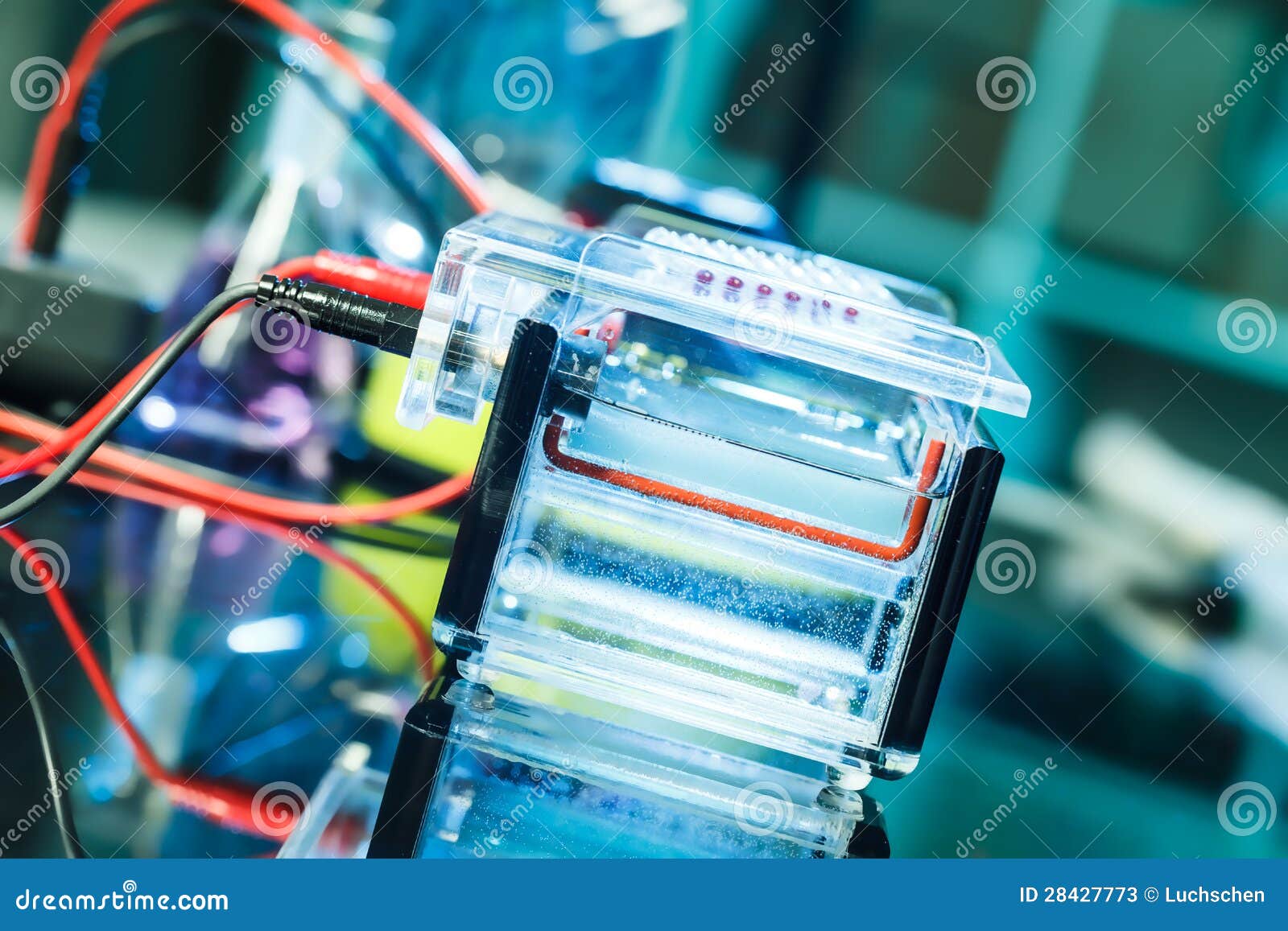 Electrophoresis chamber stock image. Image of science - 28427773