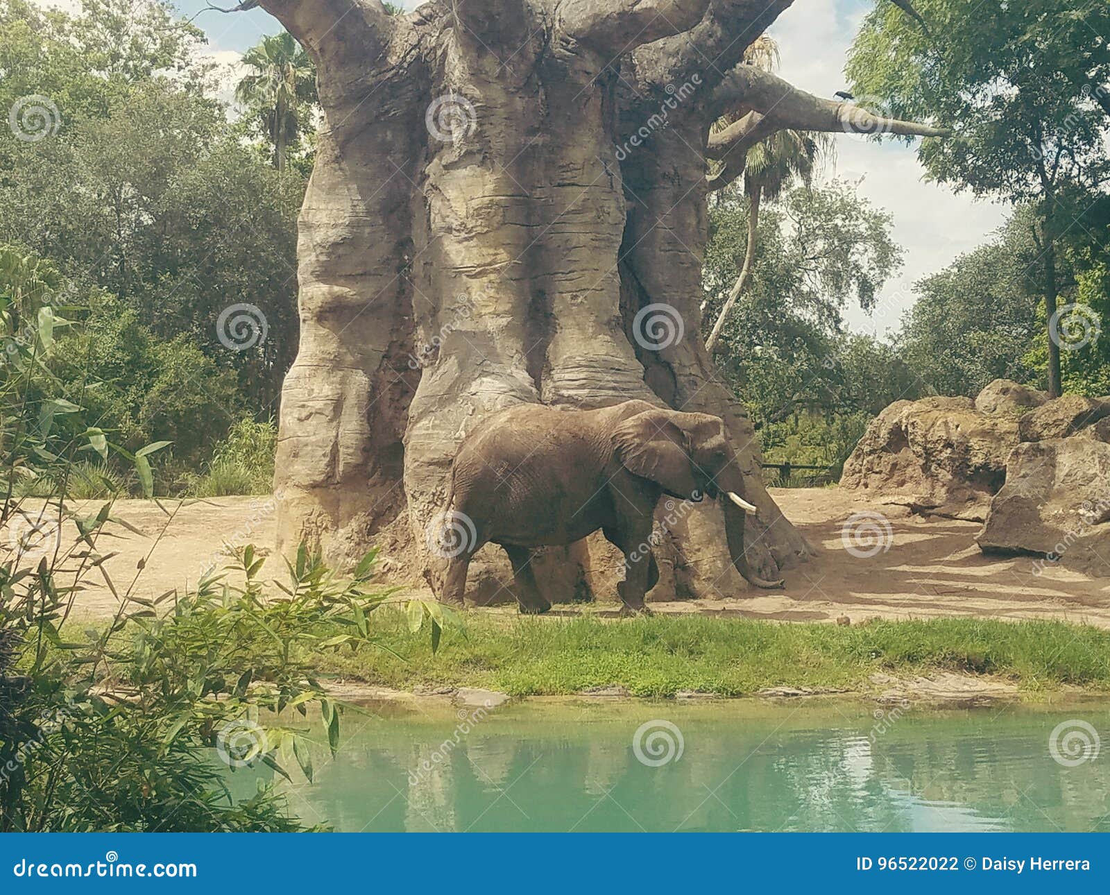 Elefant stockfoto. Bild von safari, nave, wild, elefant - 96522022