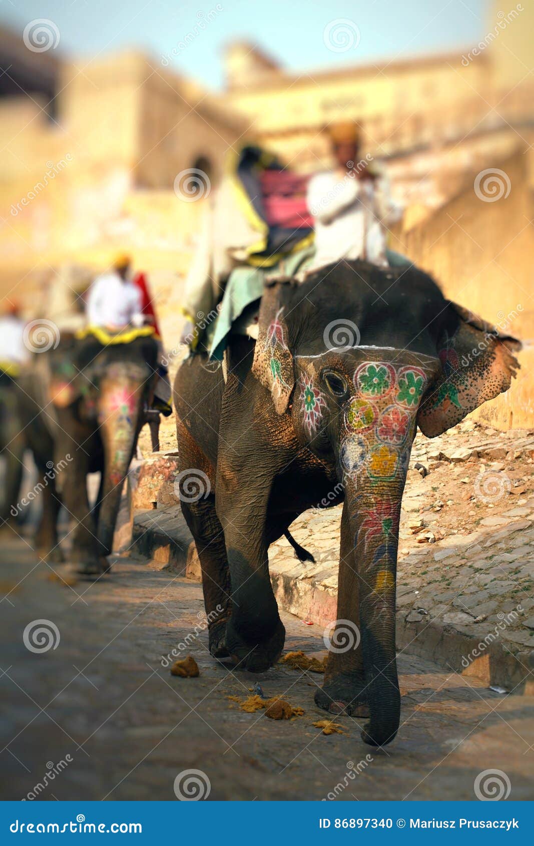 Elefant Indien, Jaipur, Staat Von Rajasthan Stockfoto - Bild von kultur ...