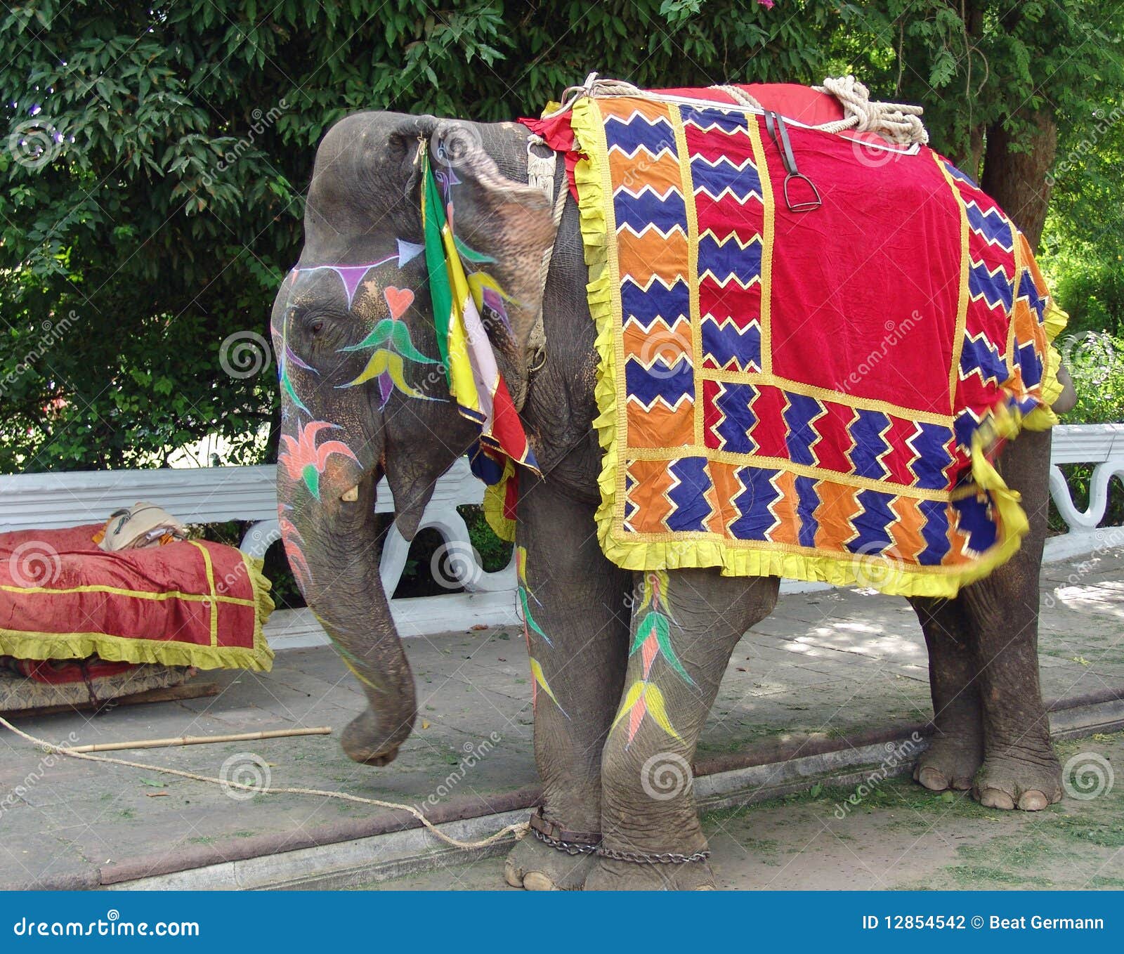 Elefant, Jaipur, Indien stockfoto. Bild von jaipur, elefant - 12854542