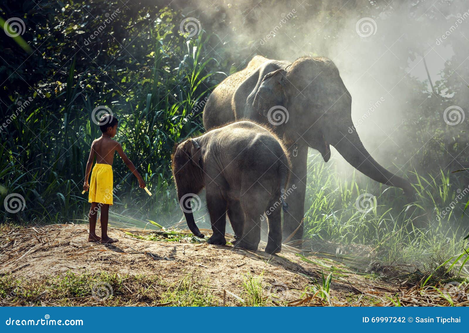 Elefant med barnet arkivfoto. Bild av resa, barn, utforskning - 69997242