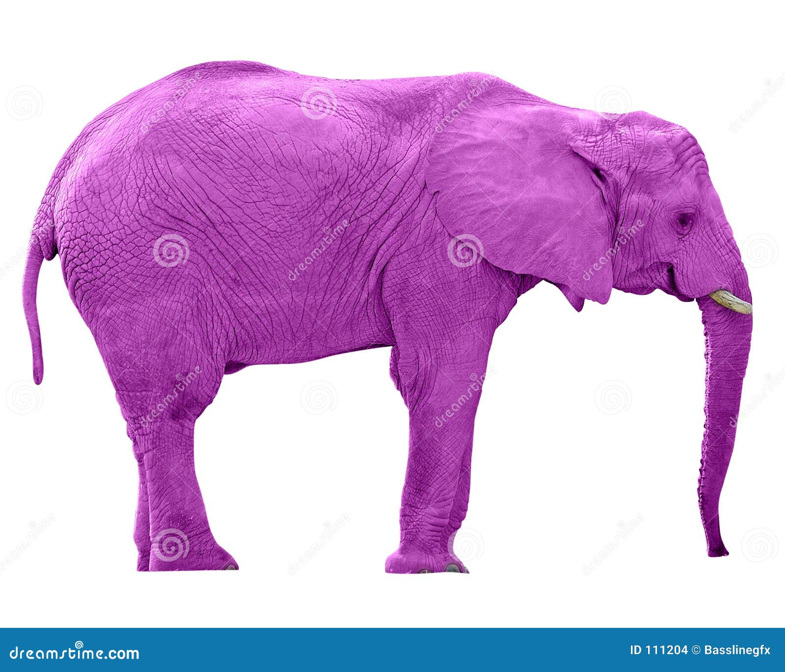 Elefante Cor-de-rosa W/Paths Foto de Stock - Imagem de couro ...