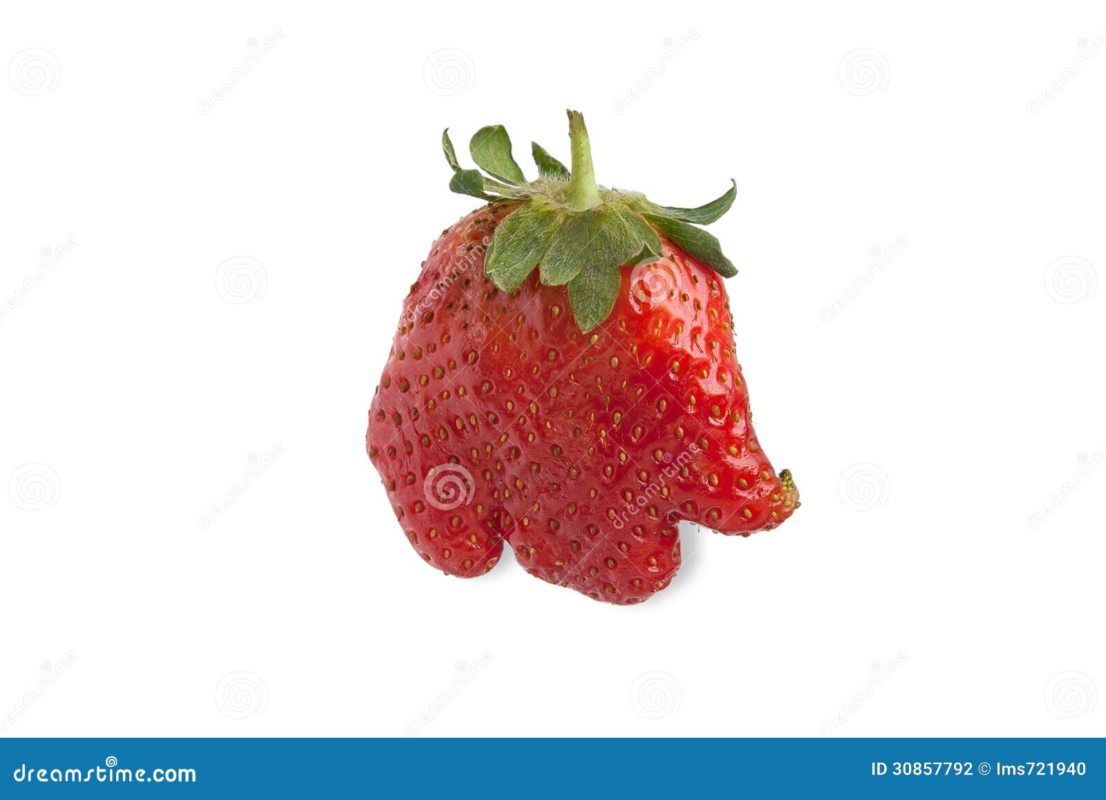 Elefante Doce Da Morango Original Isolado No Branco Foto de Stock ...