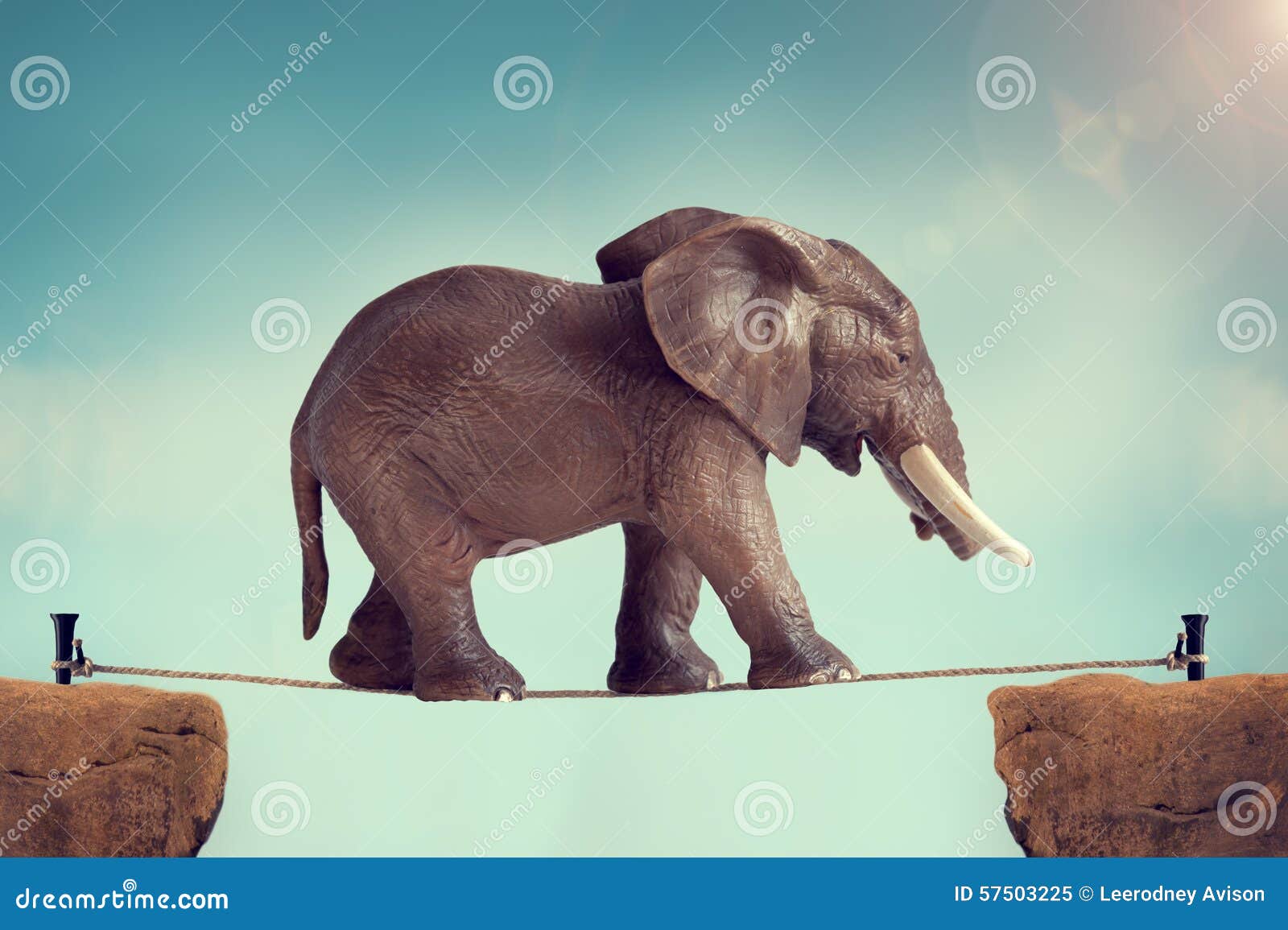 Elefante Em Uma Corda-bamba Imagem de Stock - Imagem de adversidade ...