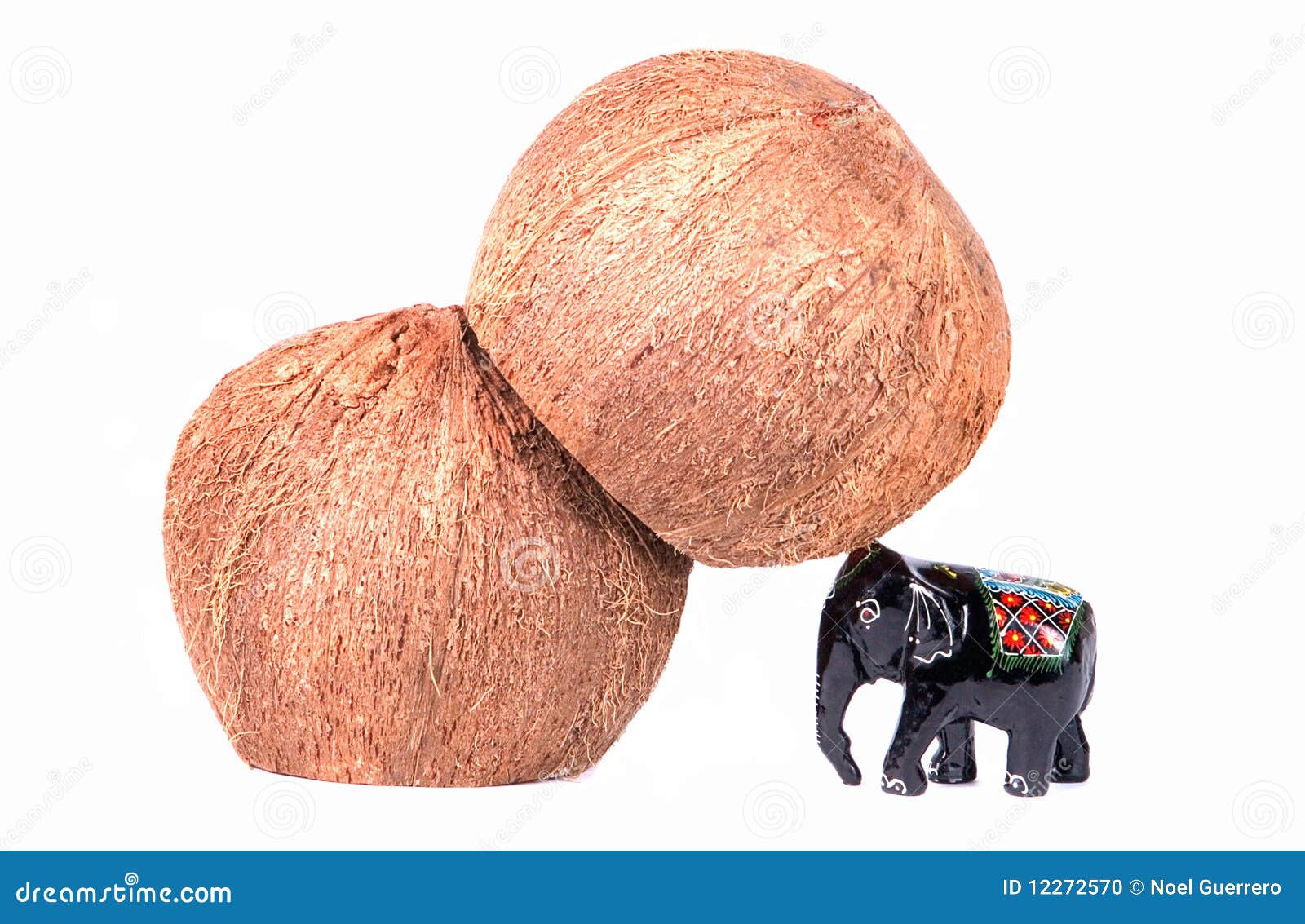 Elefante Que Empuja El Coco Que Cae. Foto de archivo - Imagen de cocos ...