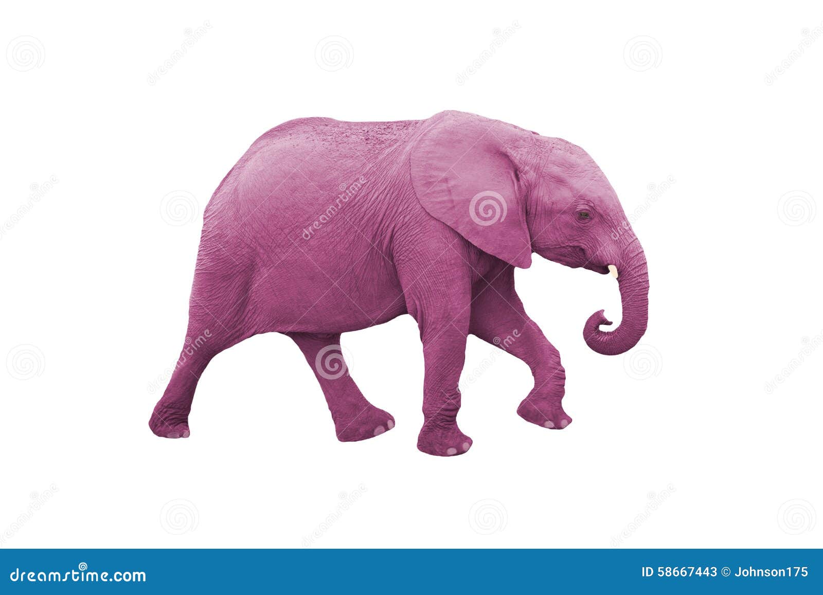 Elefante rosado imagen de archivo. Imagen de ilusiones - 58667443